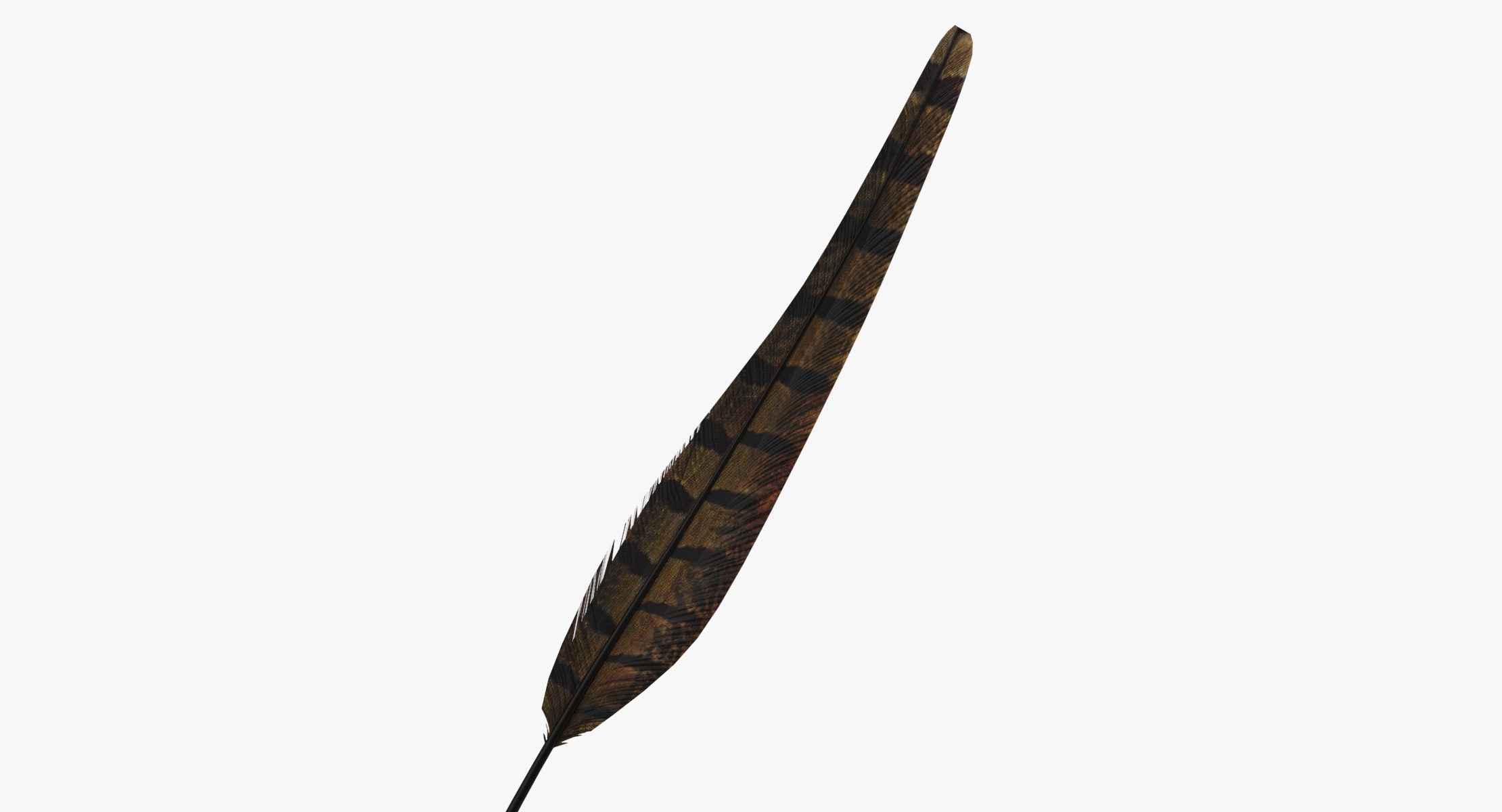modelo 3d Pluma del siglo XIX 01 - TurboSquid 2189444