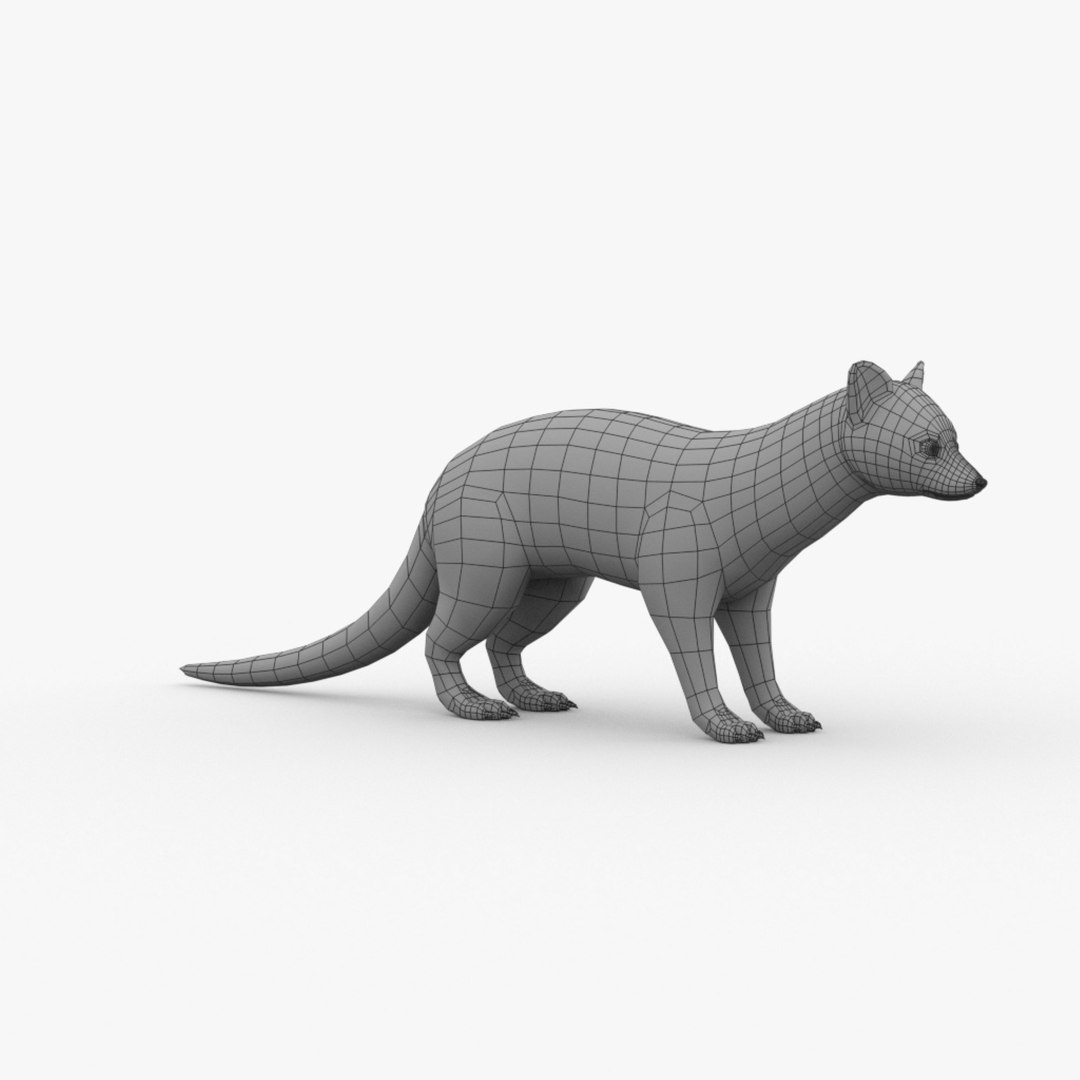 Genet basemesh 3D model - TurboSquid 2006922