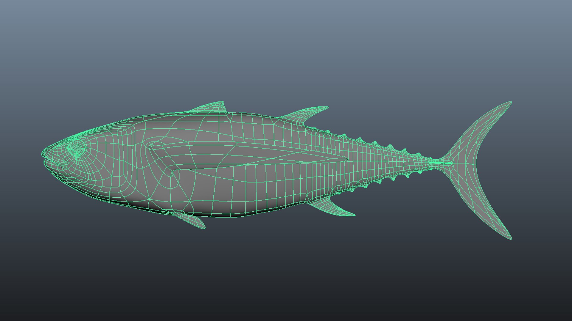 3D Tuna Collection - TurboSquid 1811807