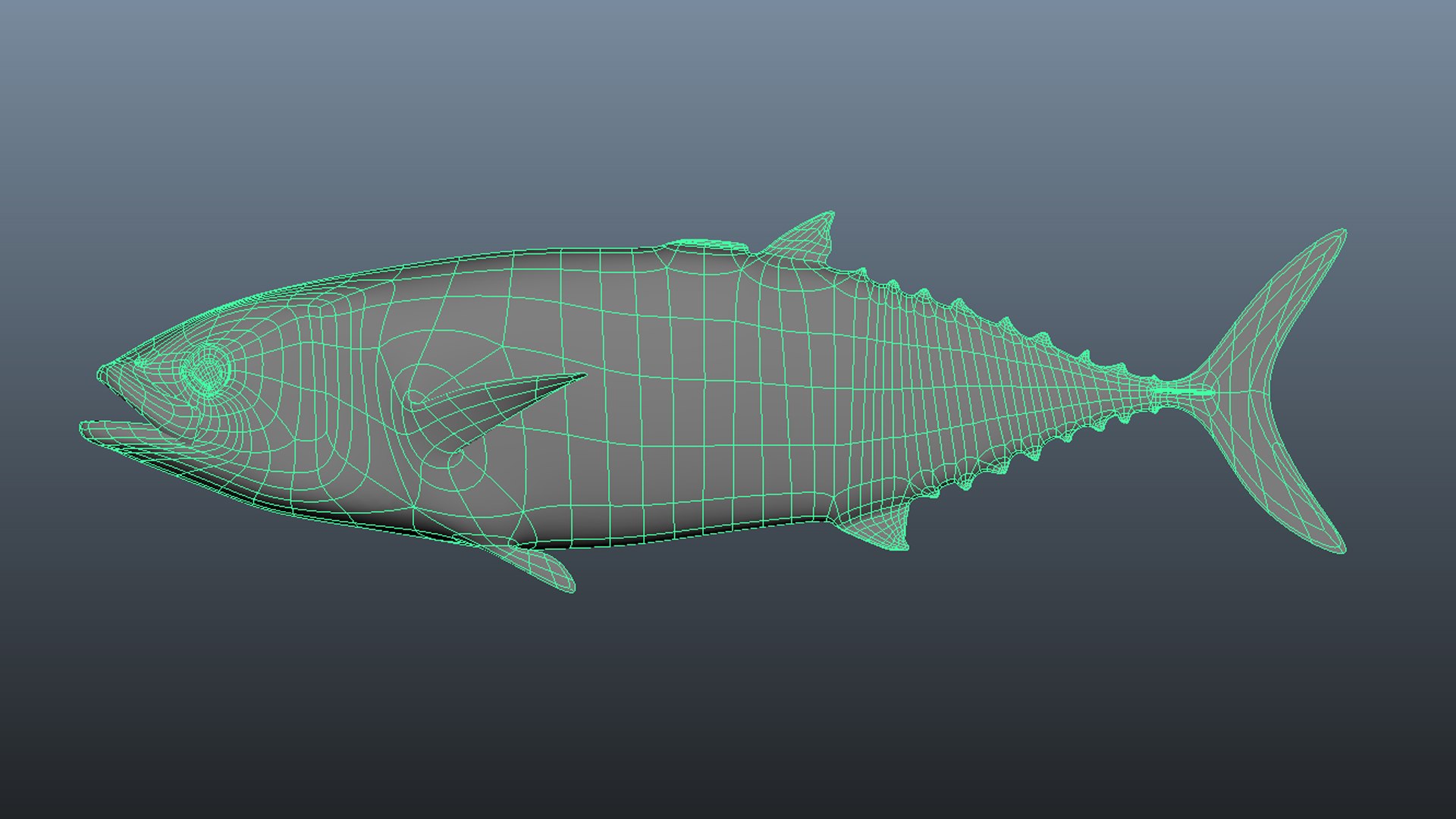 3D Tuna Collection - TurboSquid 1811807