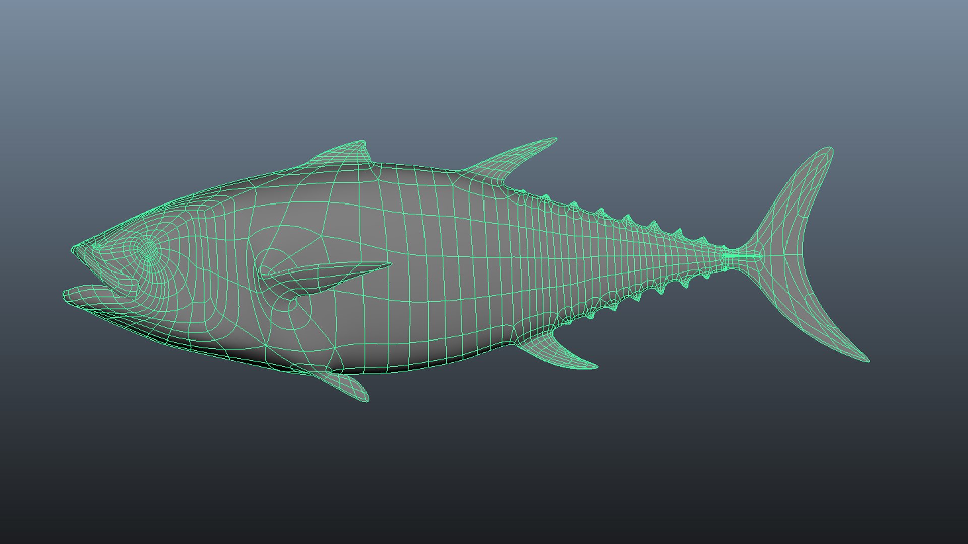 3D Tuna Collection - TurboSquid 1811807