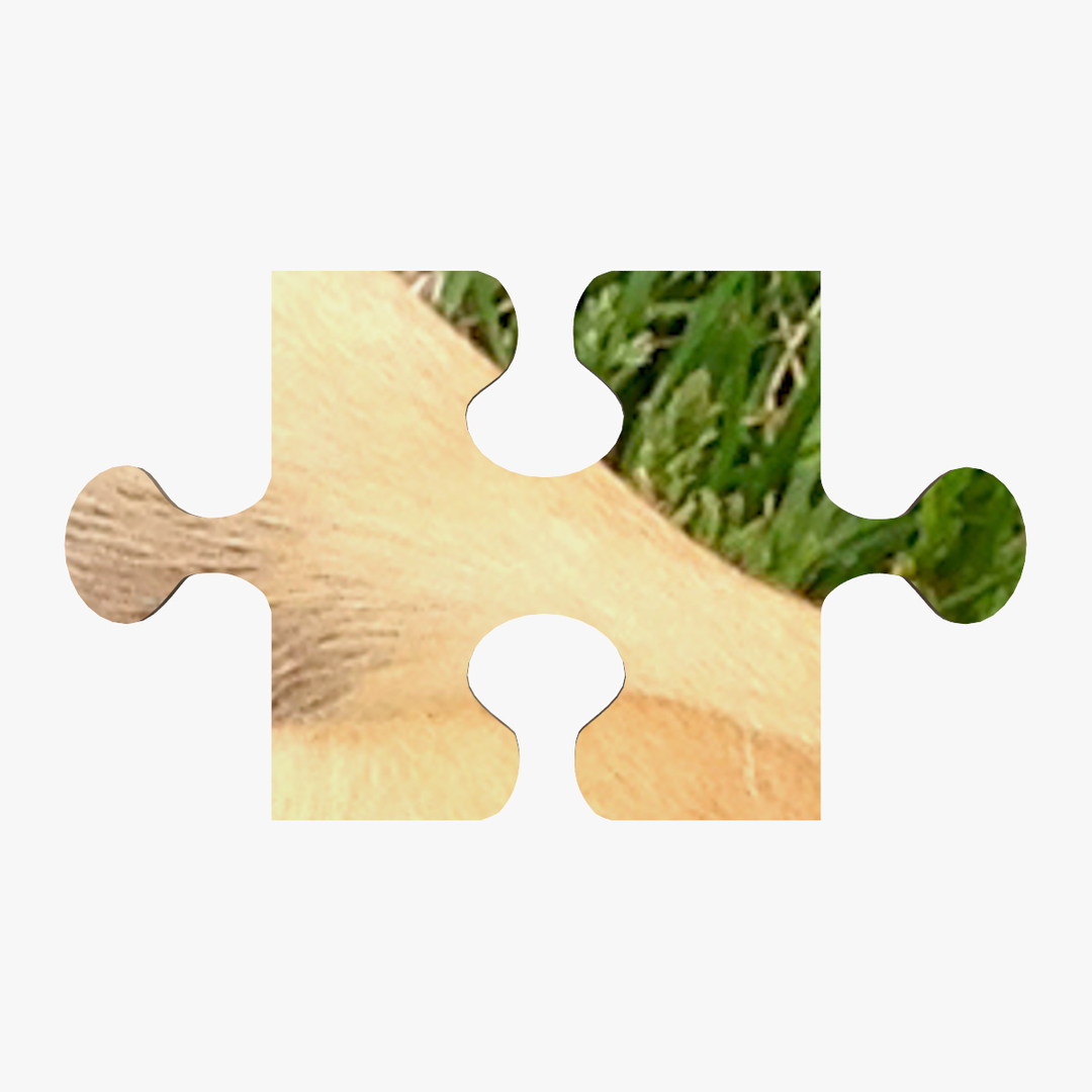 3d puzzle pieces model