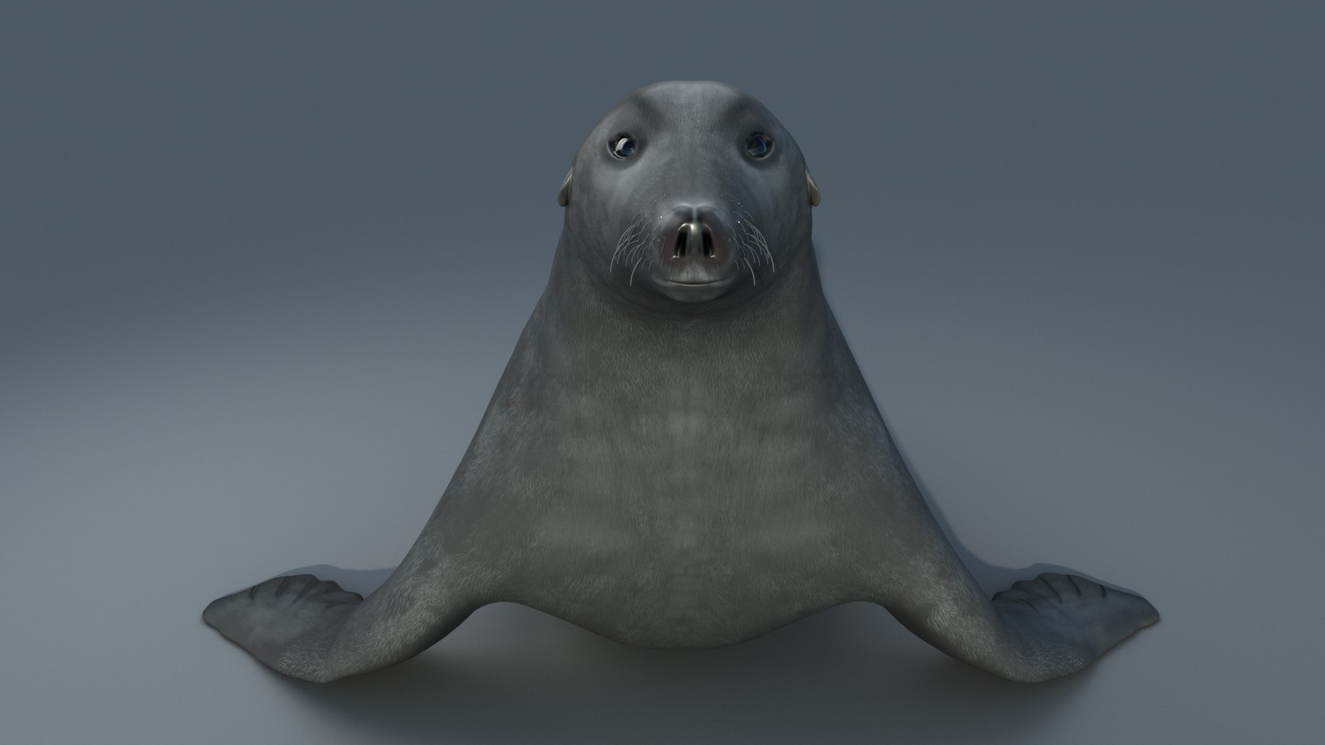 3D Realistic Seal Model - TurboSquid 1677369