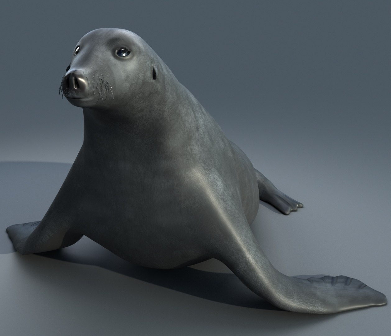 3D Realistic Seal Model - TurboSquid 1677369