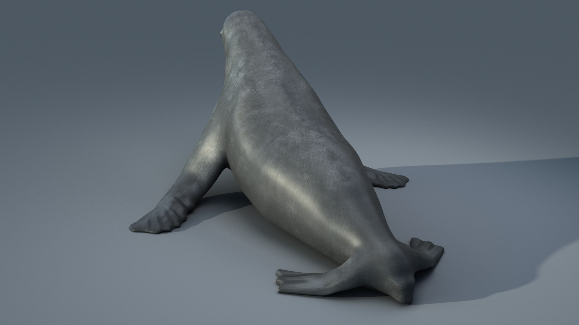 3D Realistic Seal Model - TurboSquid 1677369