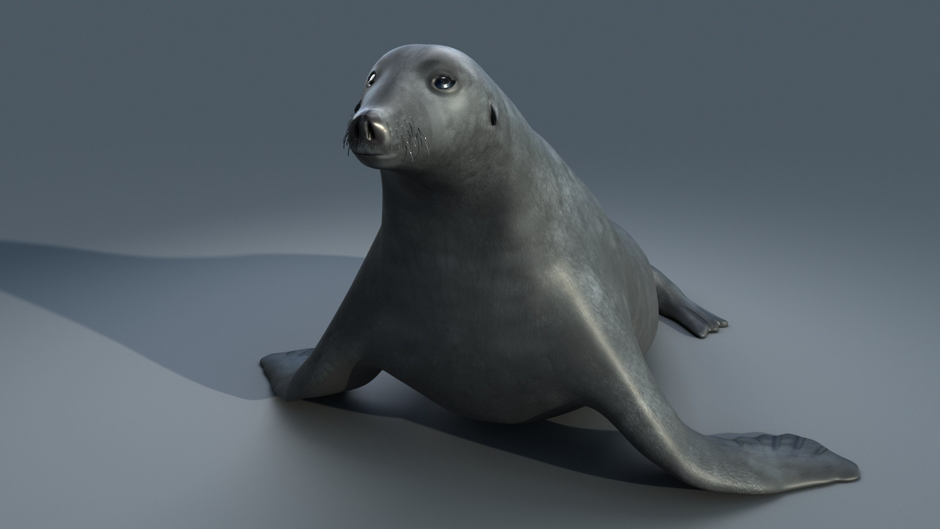 3D Realistic Seal Model - TurboSquid 1677369