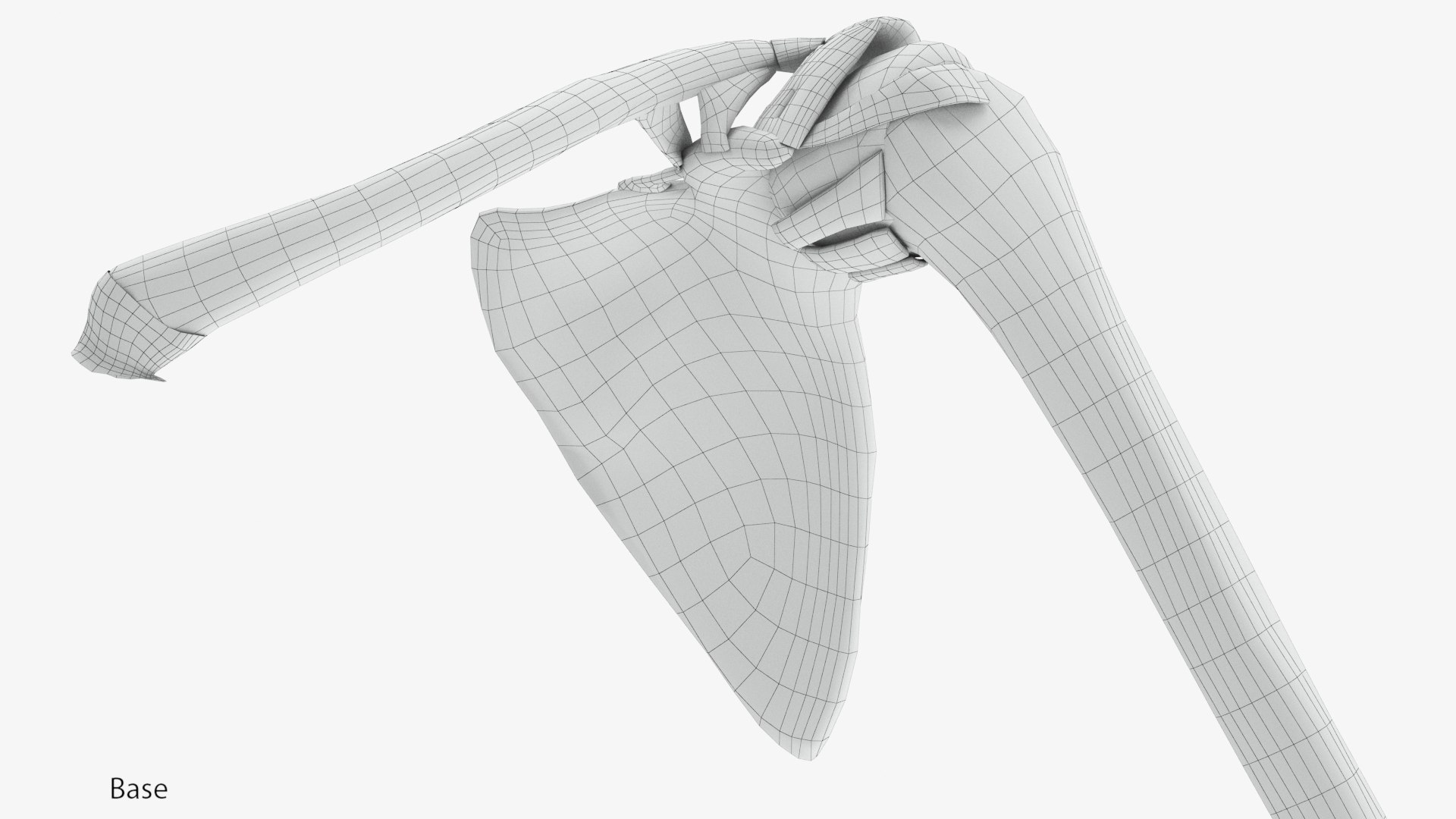 3D Model Upper Limb Skeleton - TurboSquid 1815283