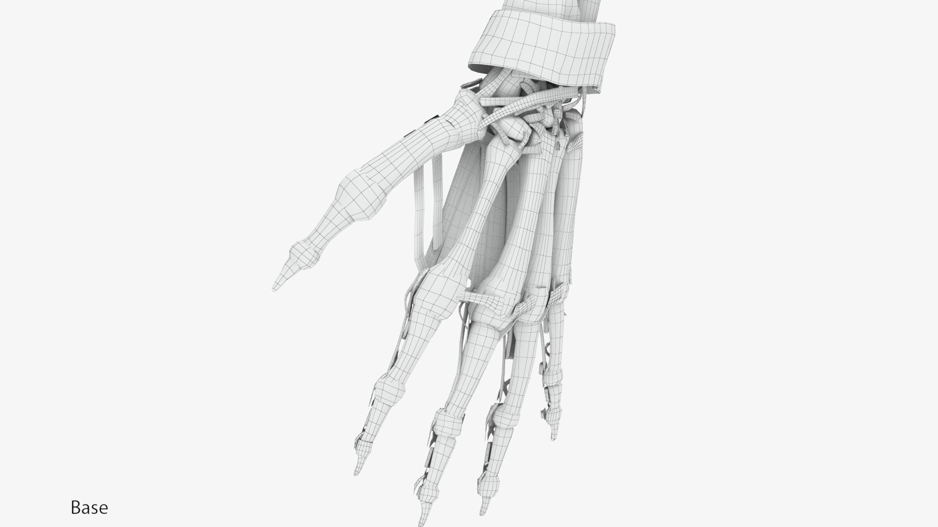 3D Model Upper Limb Skeleton - TurboSquid 1815283