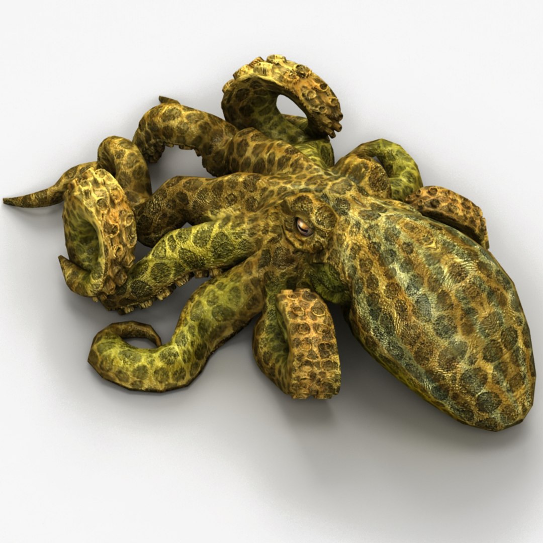 3ds Max Octopus