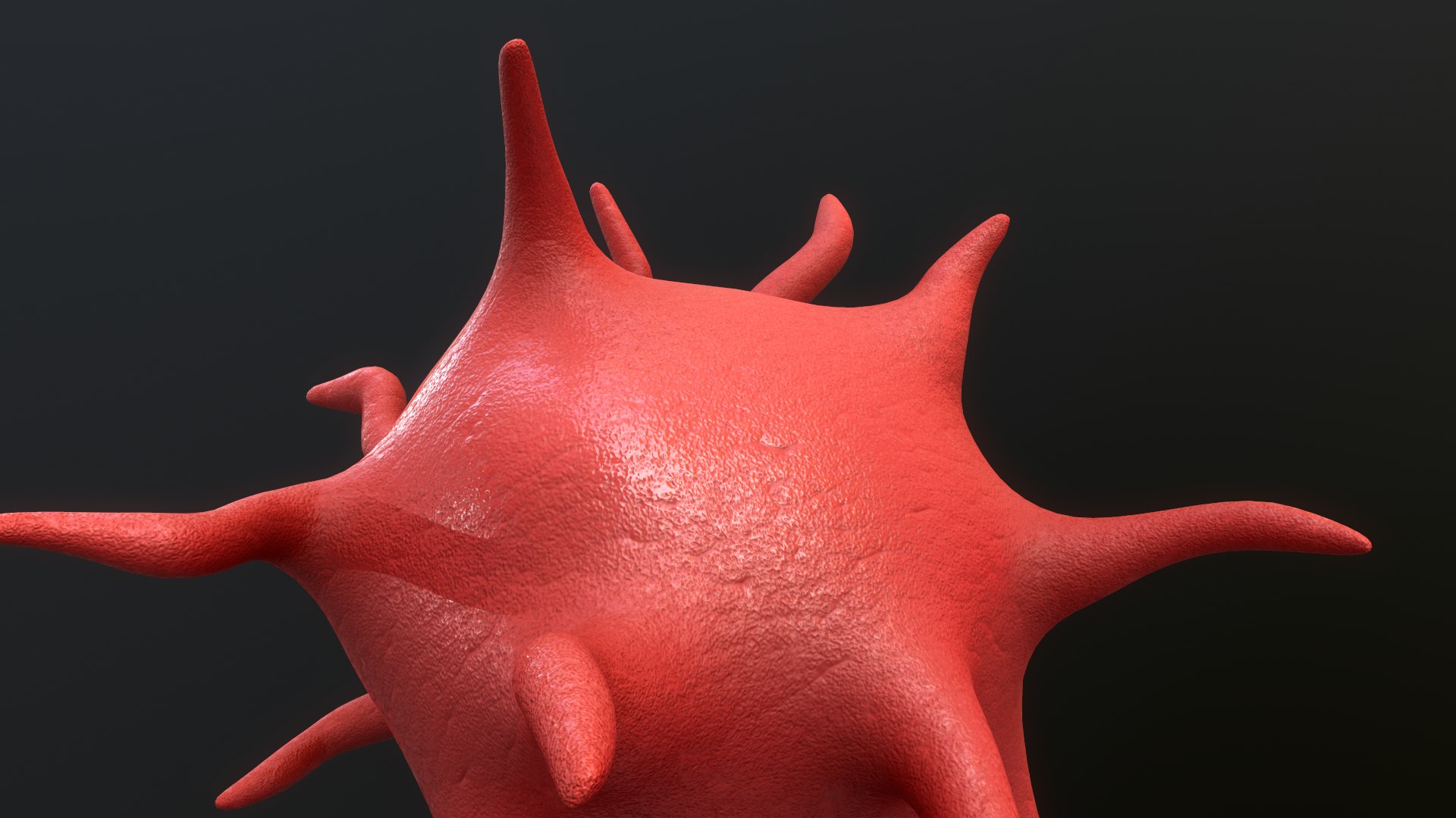 Platelet Thrombocyte Model - TurboSquid 1467937