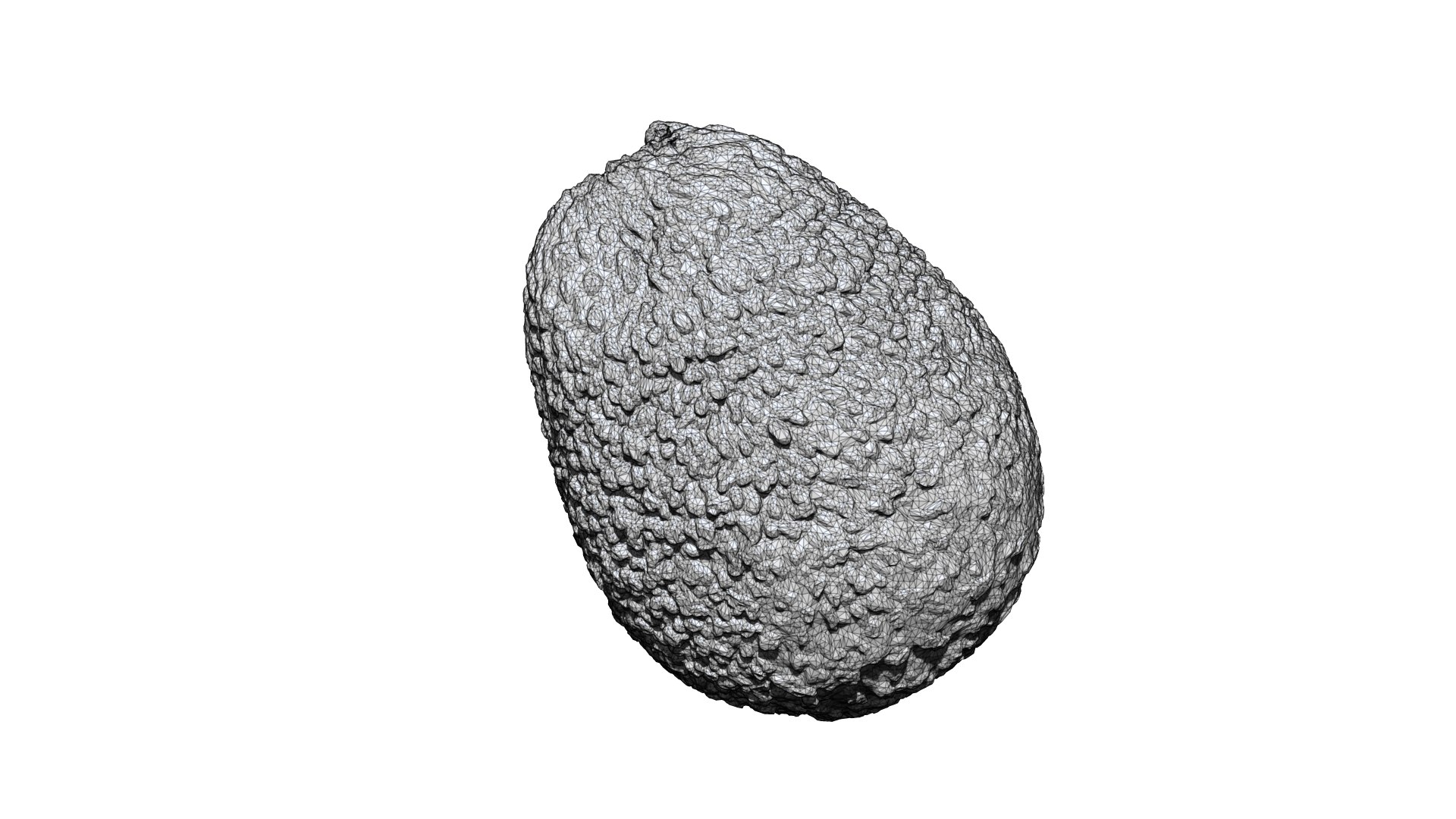 Avocado 3D CT Scan Model Decimate 10 Percent Model - TurboSquid 1932359
