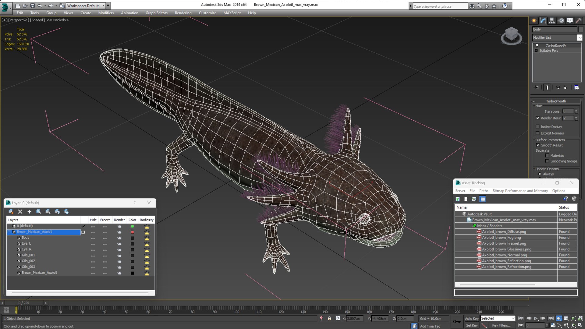 Brown Mexican Axolotl 3D Model - TurboSquid 2209637