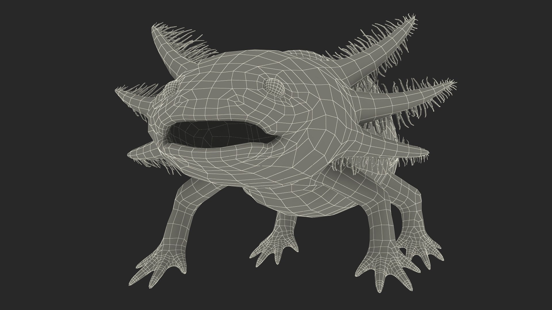 Brown Mexican Axolotl 3D Model - TurboSquid 2209637