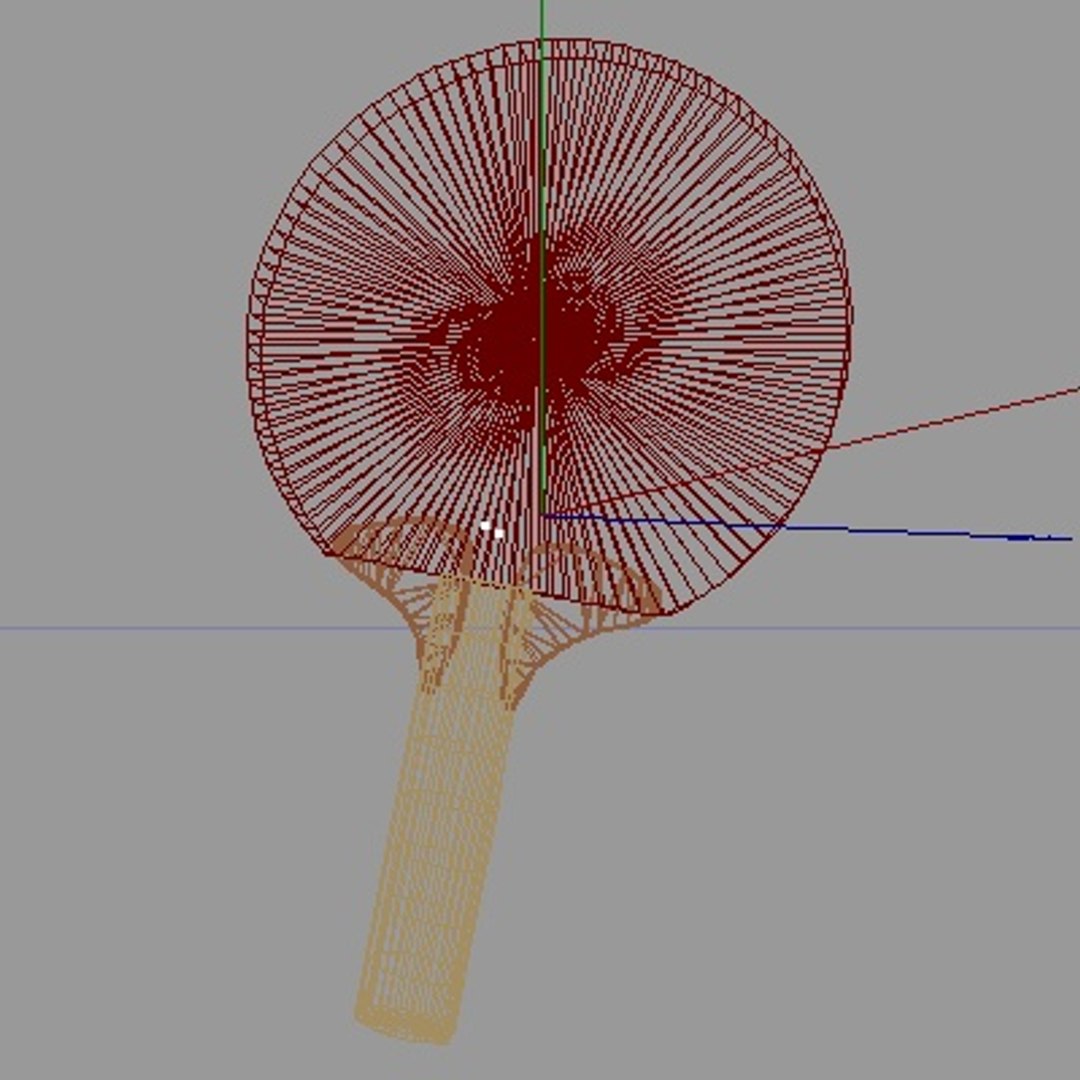 Ping Pong Paddle 3d Model
