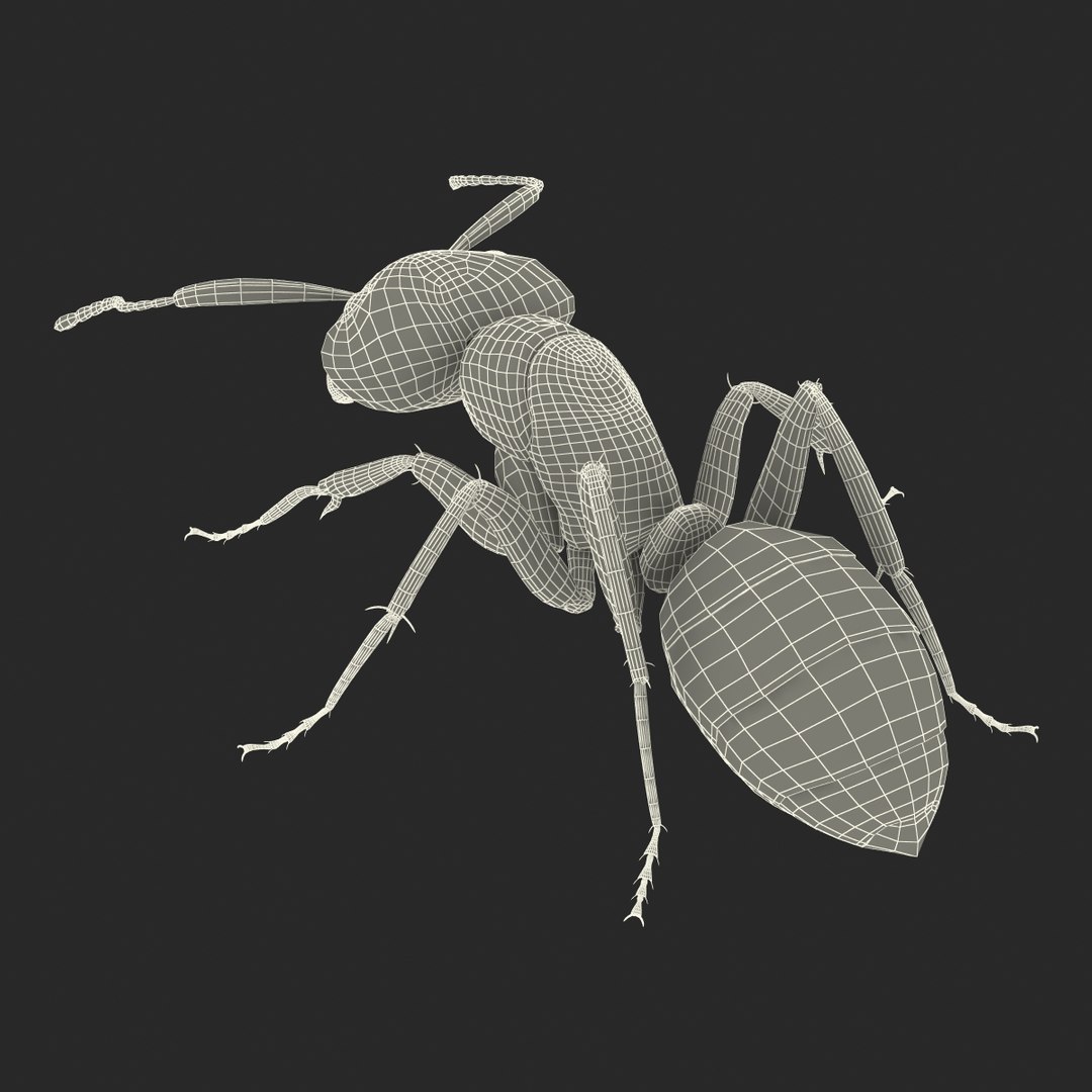 3d red ant pose 3