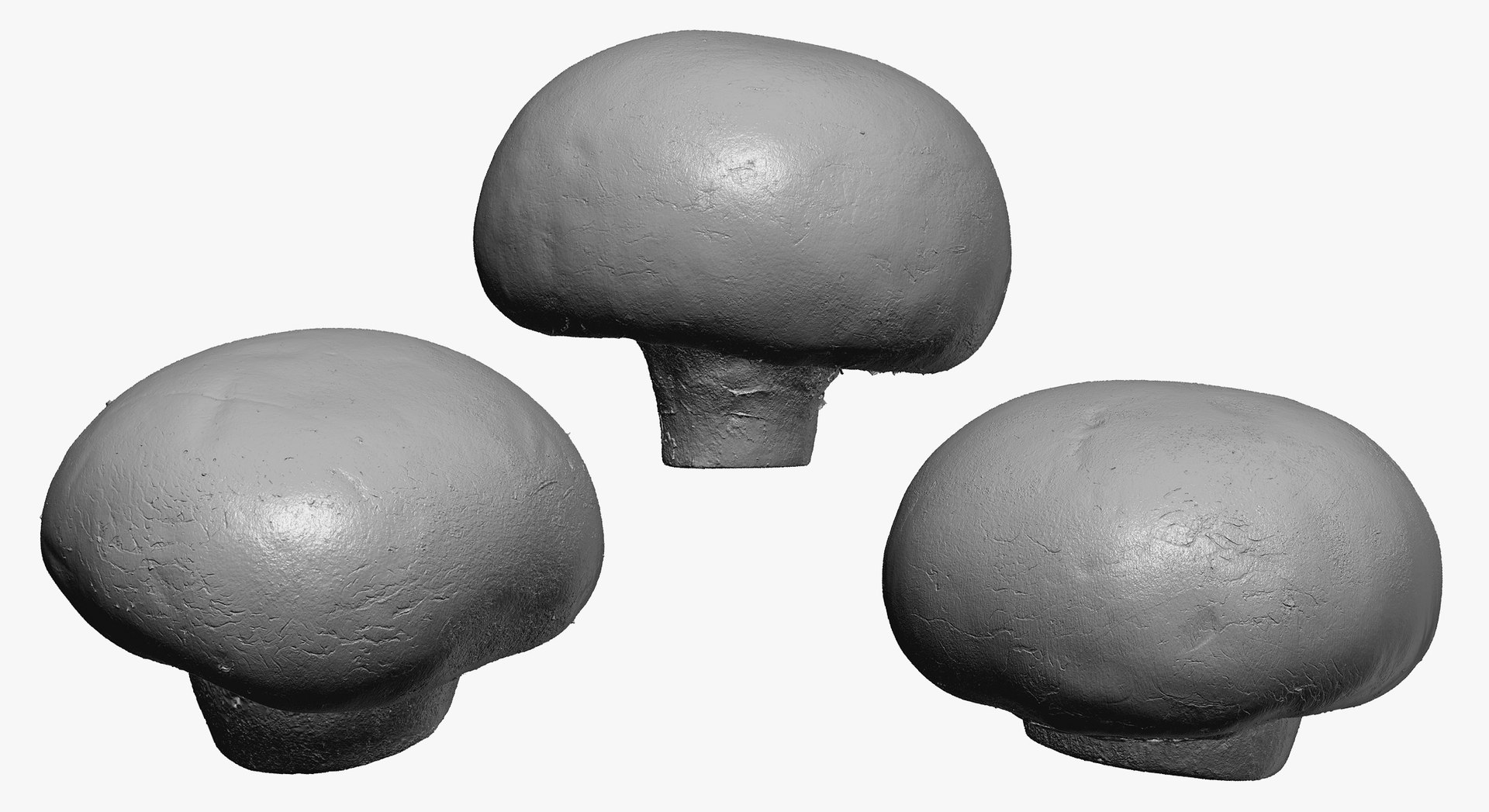 White Button Mushroom Collection 02 - 3 models RAW Scans 3D ...