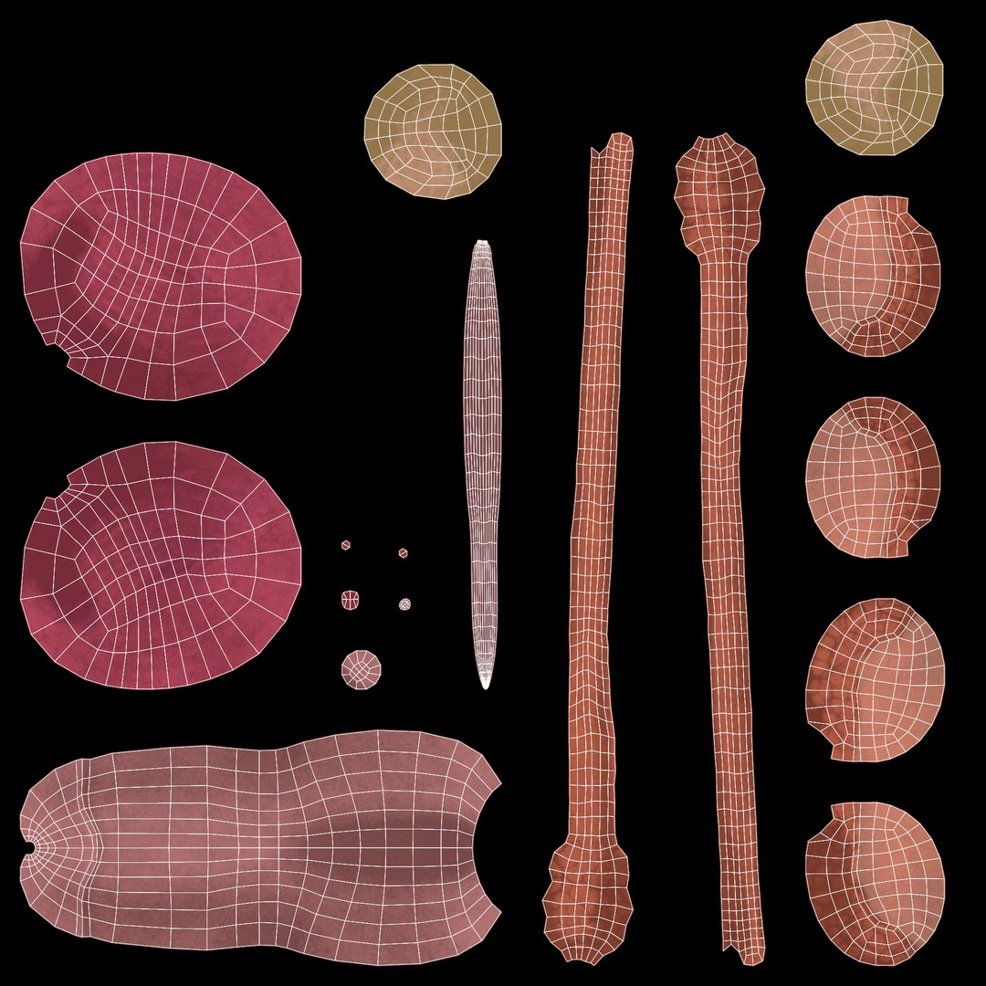 Male Reproductive System 3D Model - TurboSquid 1782458