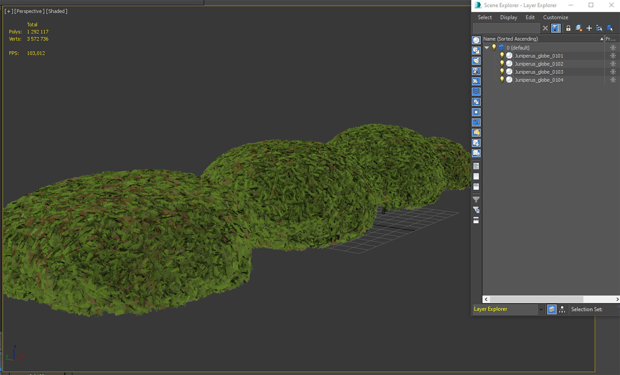 Globe juniper juniperus 3D model - TurboSquid 1674372
