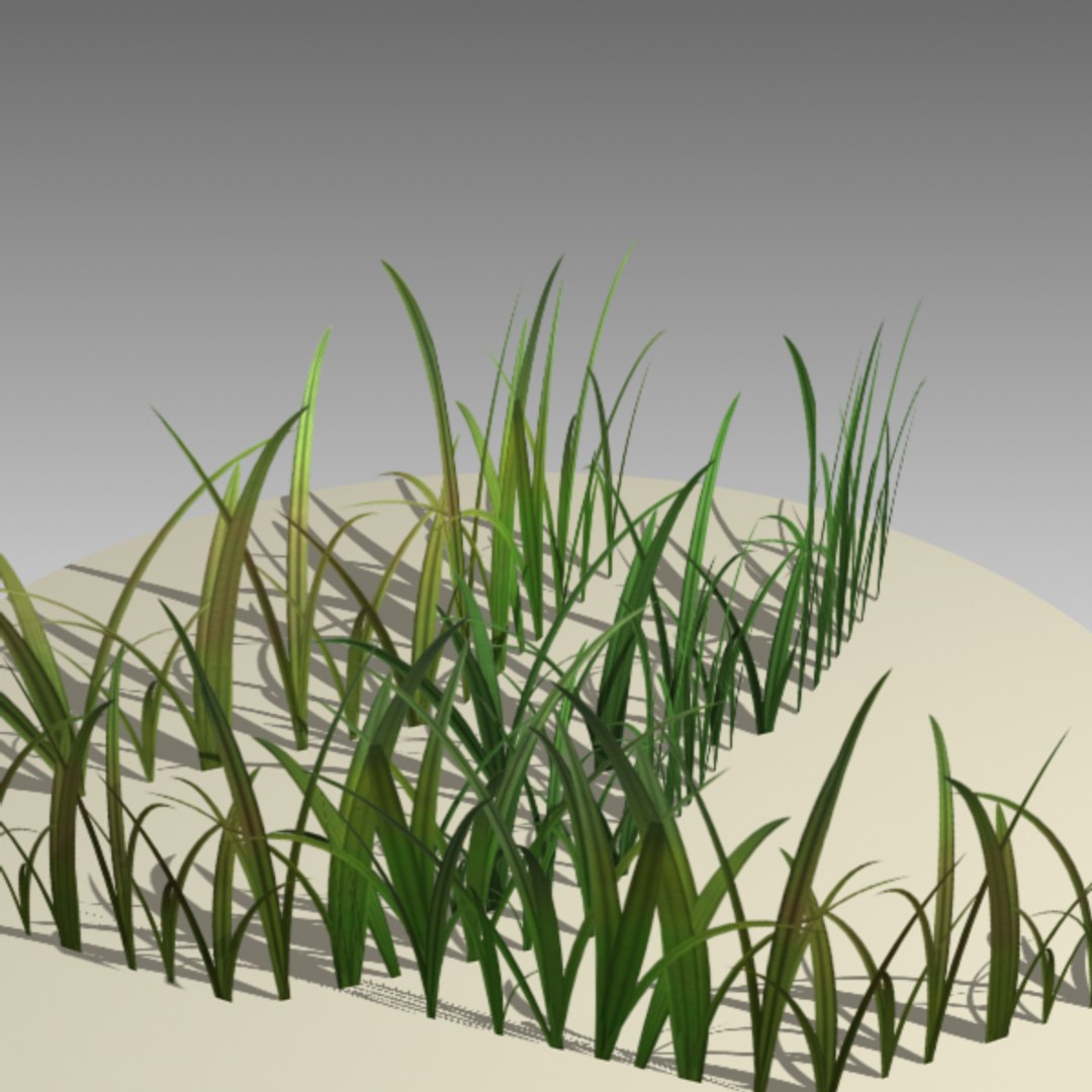 Grass Games Fps 3d Max