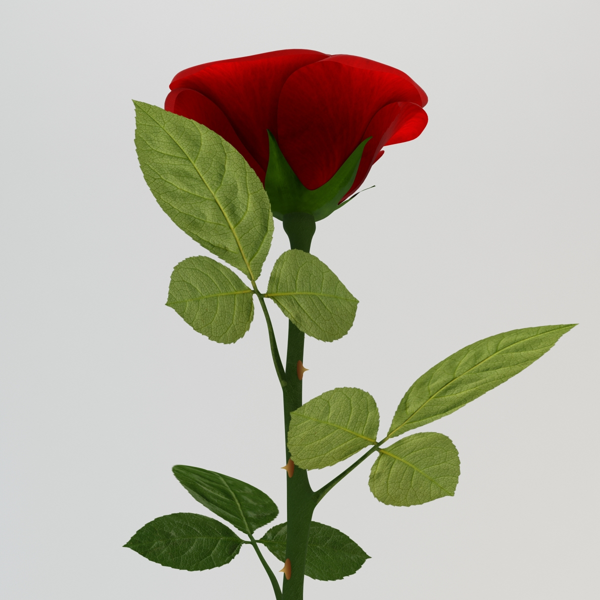 rose branch red 3d model