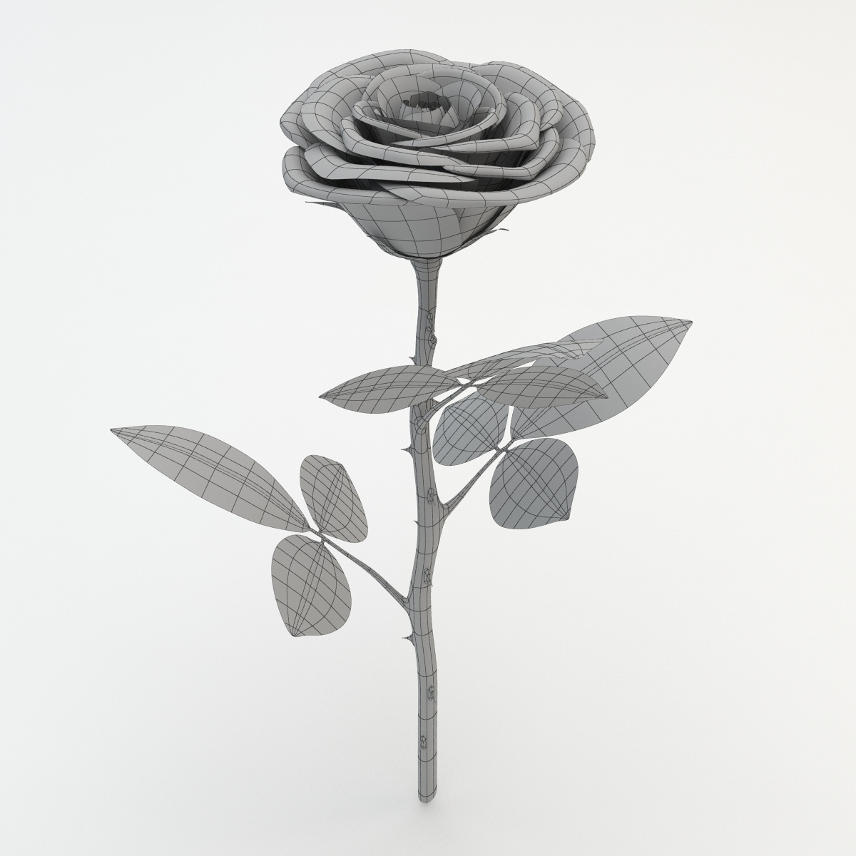 rose branch red 3d model