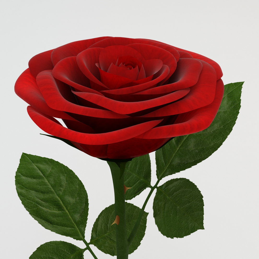 rose branch red 3d model