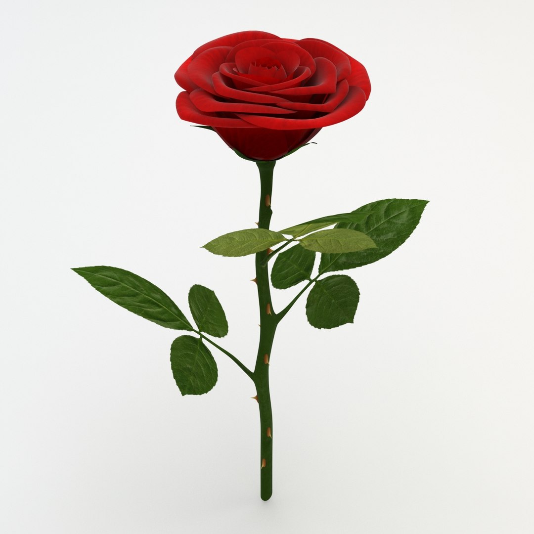 Rose Branch Red 3d Model
