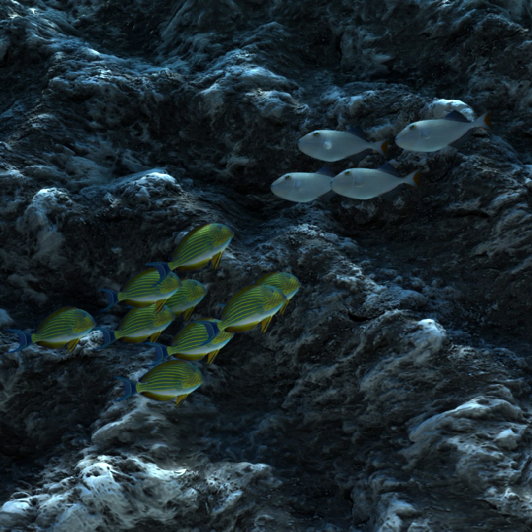 3d Public Aquarium Fish