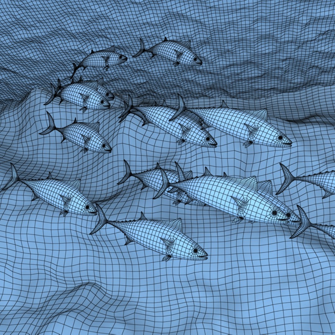 3d Public Aquarium Fish