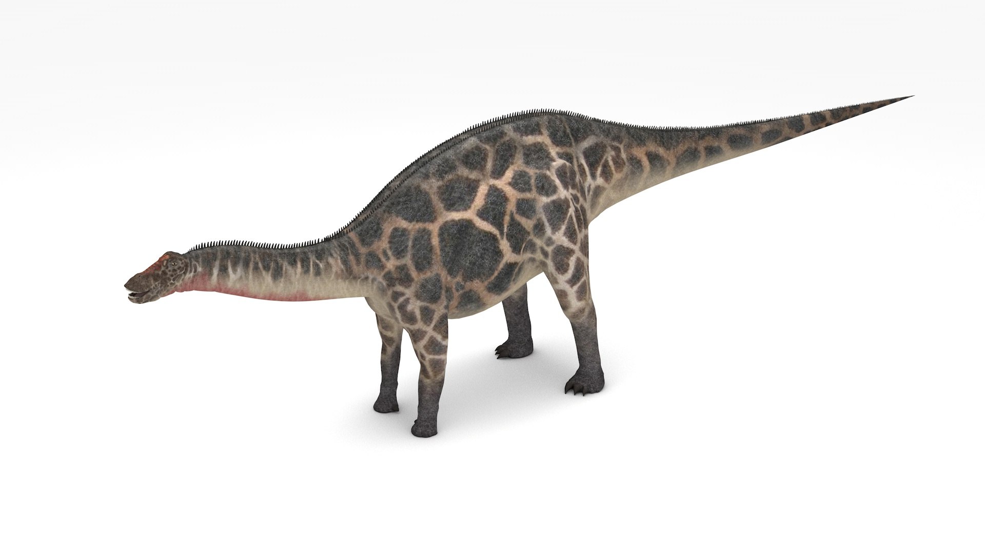 Dicraeosaurus Dinosaur 3D - TurboSquid 2341322