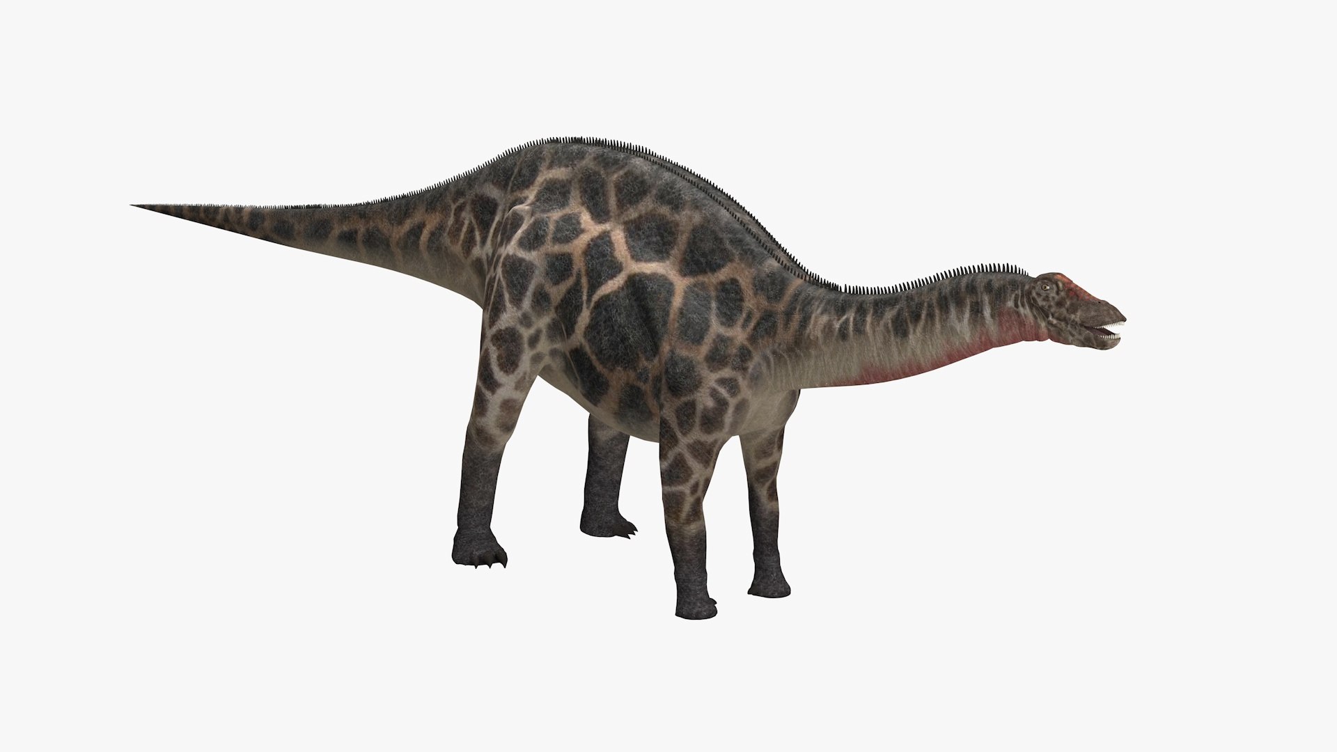 Dicraeosaurus Dinosaur 3D - TurboSquid 2341322