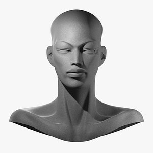 Female Head Blender Models for Download | TurboSquid