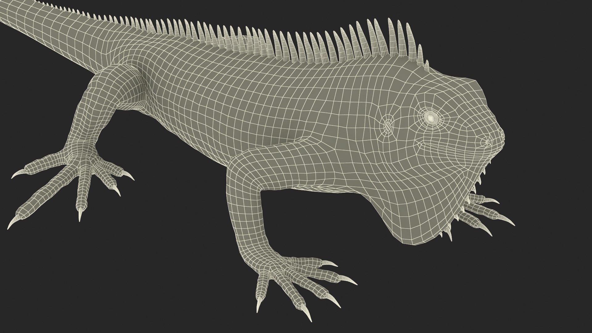 3D Iguana Reptile Creature Model - TurboSquid 2330642