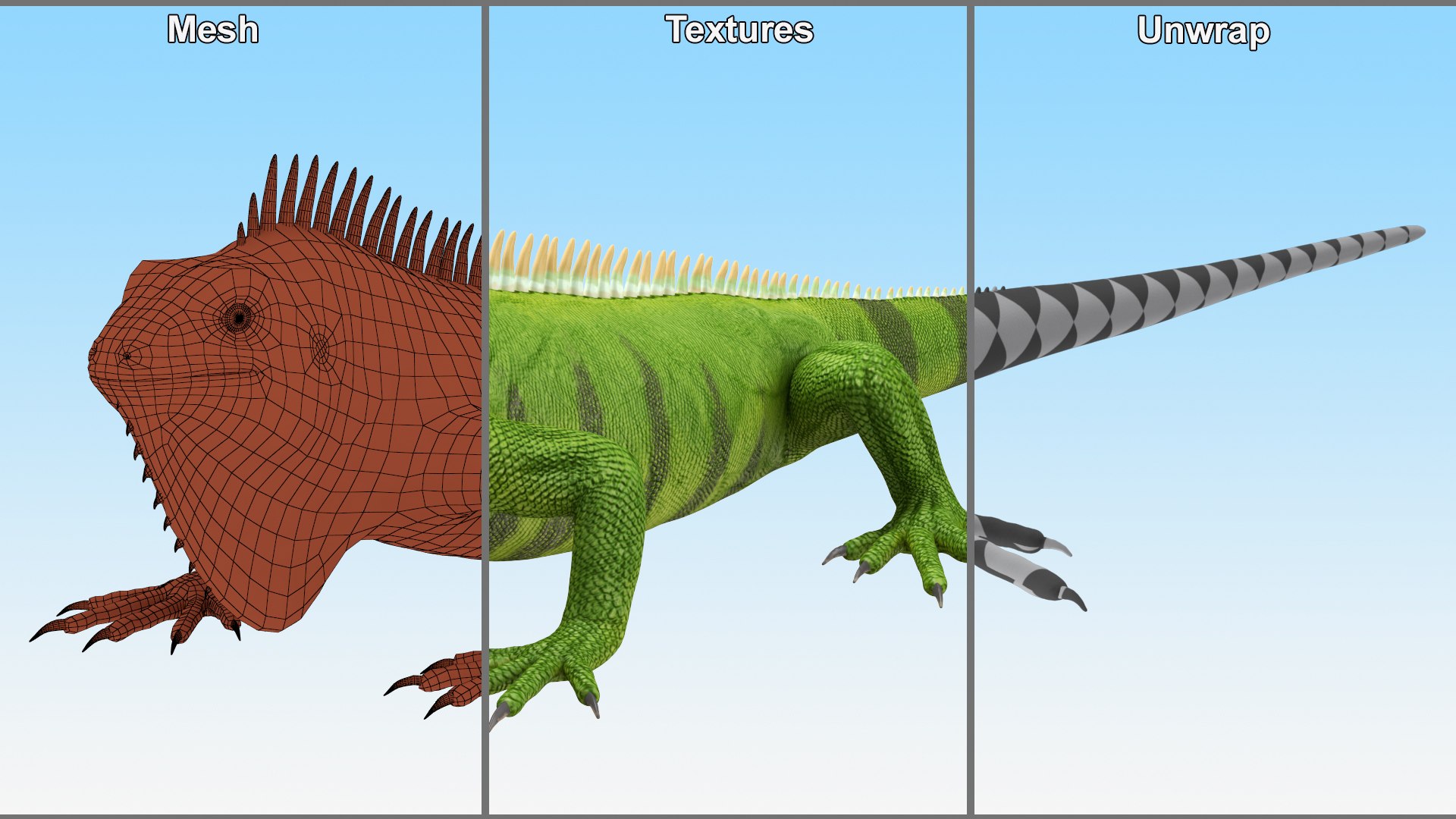 3D Iguana Reptile Creature Model - TurboSquid 2330642
