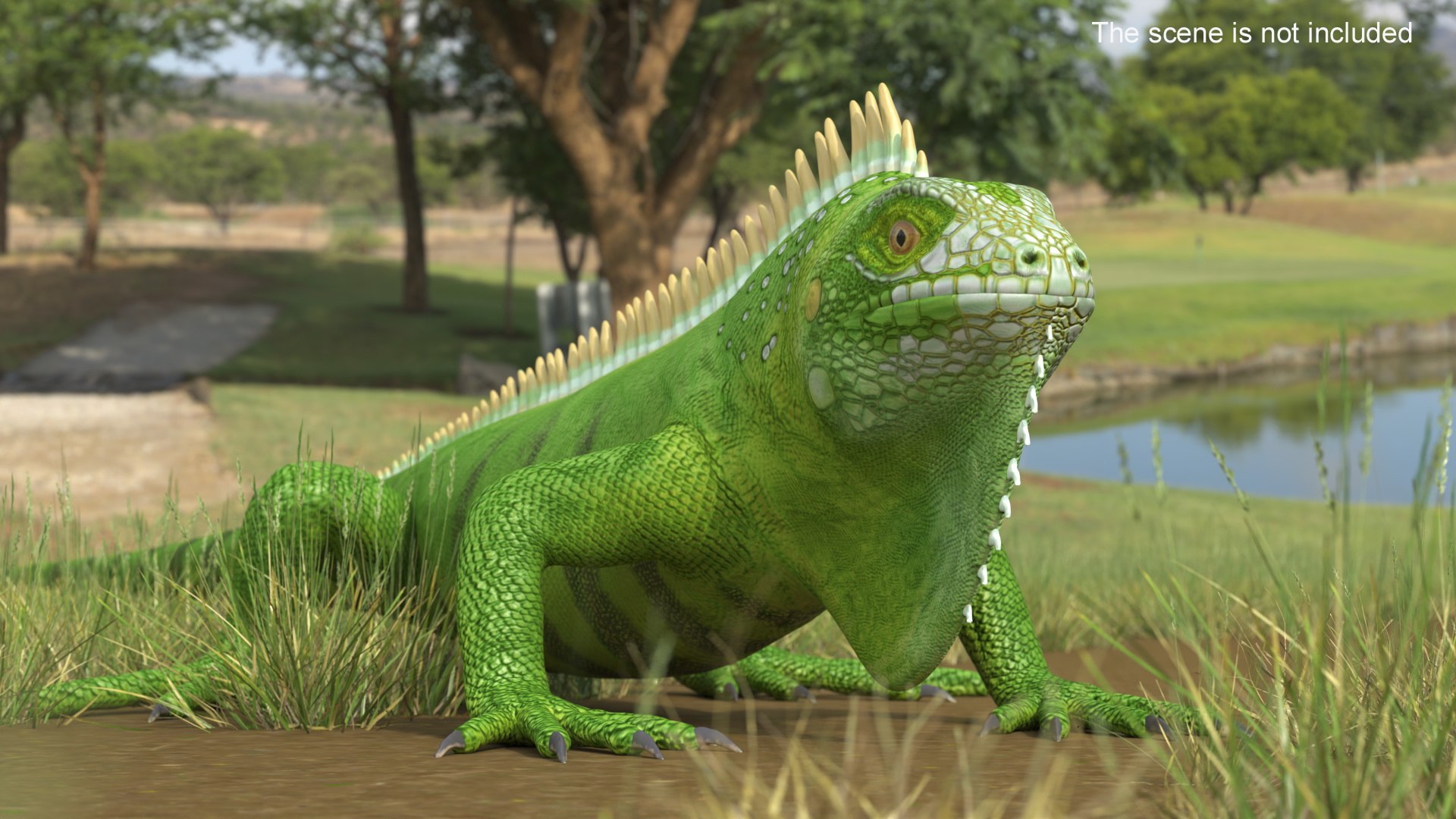 3D Iguana Reptile Creature Model - TurboSquid 2330642