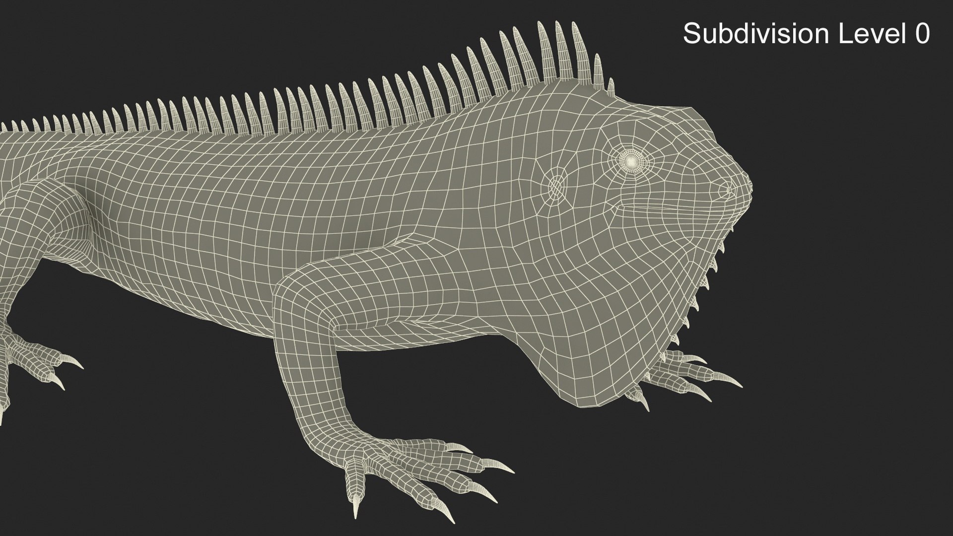 3D Iguana Reptile Creature Model - TurboSquid 2330642