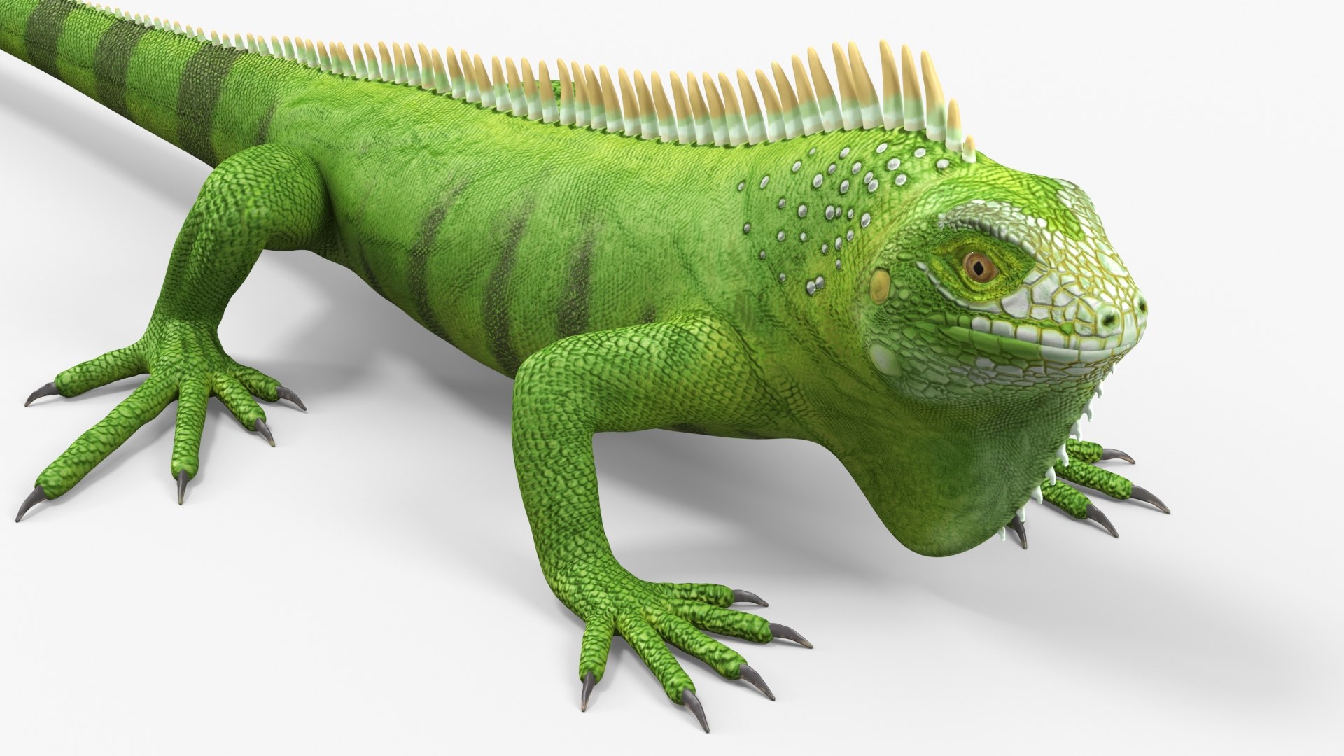 3D Iguana Reptile Creature Model - TurboSquid 2330642