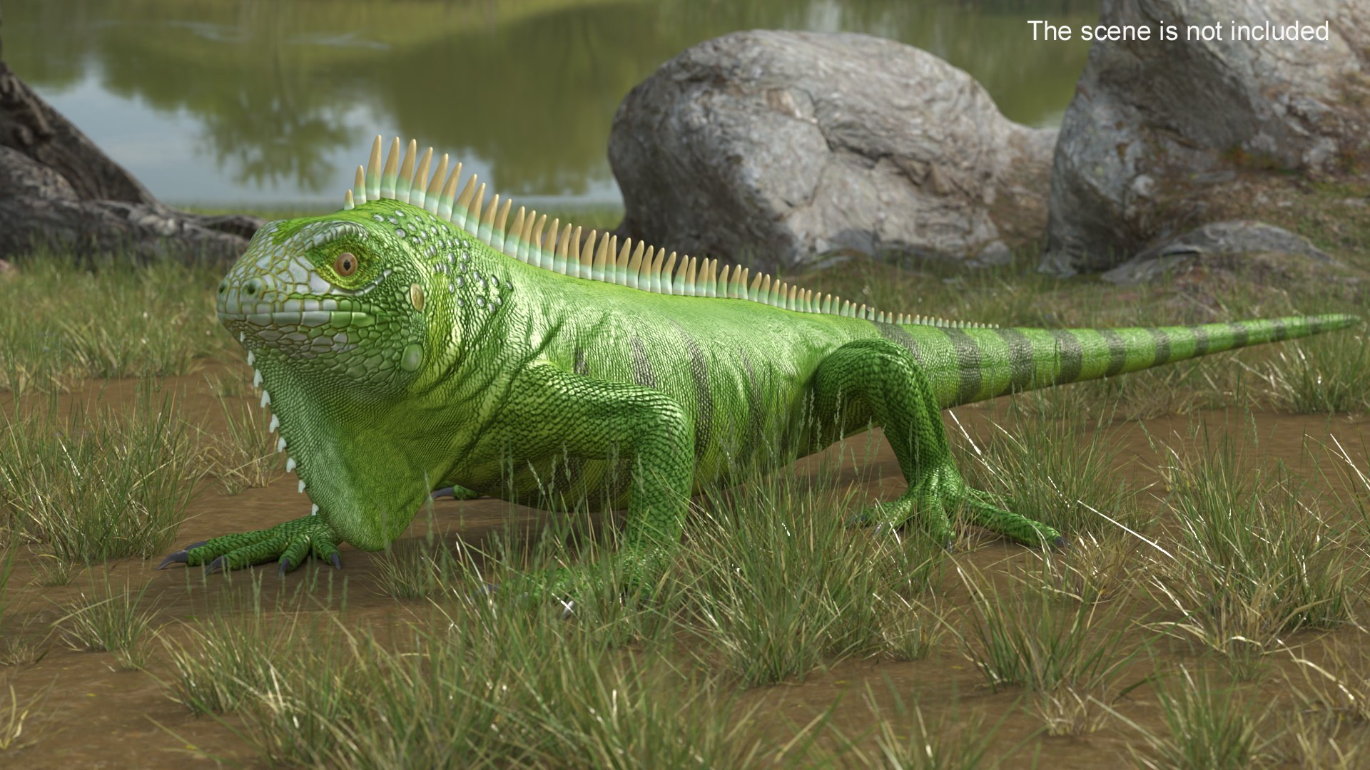 3D Iguana Reptile Creature Model - TurboSquid 2330642