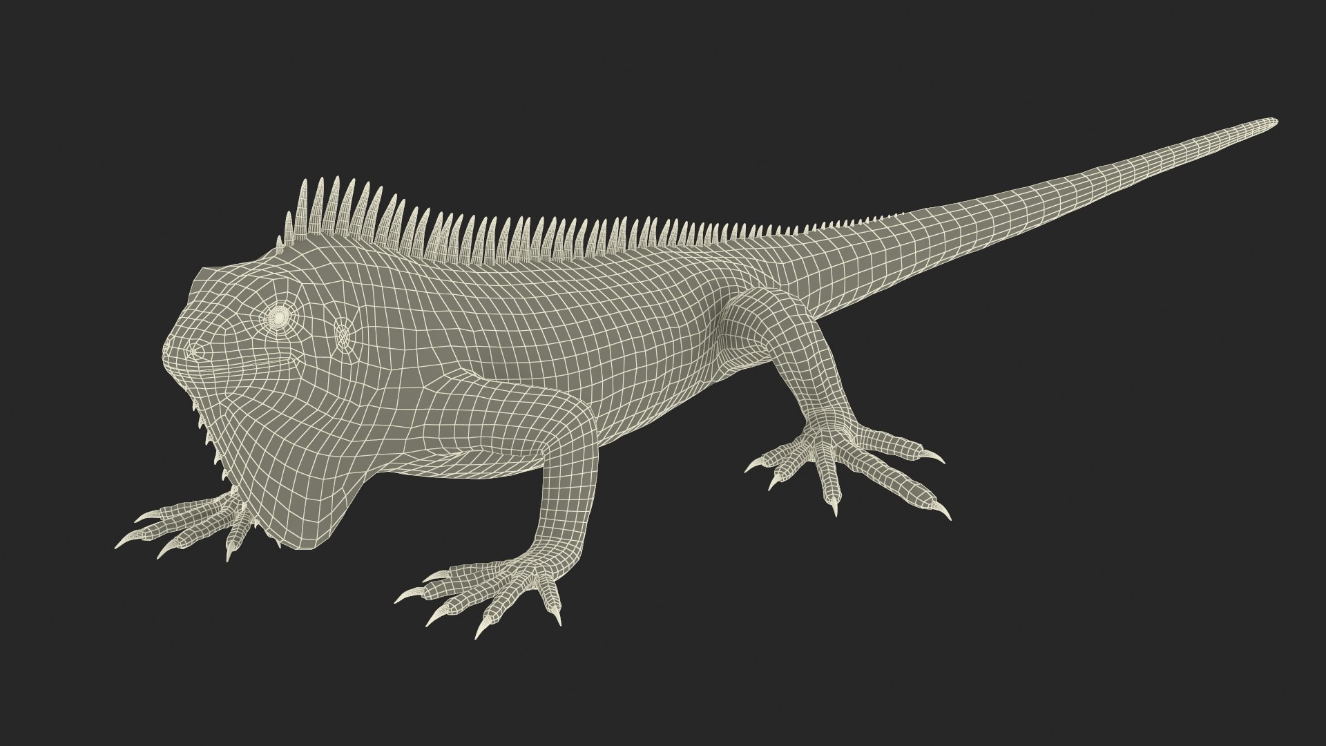 3D Iguana Reptile Creature Model - TurboSquid 2330642