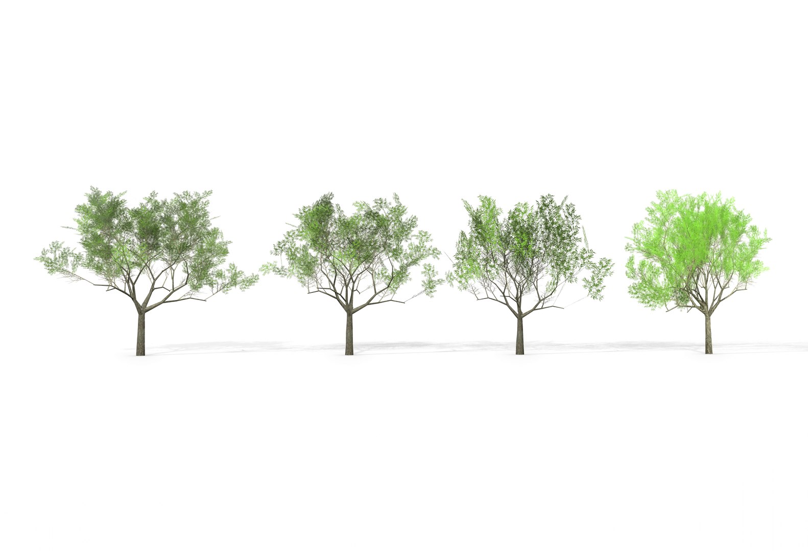 3D Landscape Trees - TurboSquid 1247899