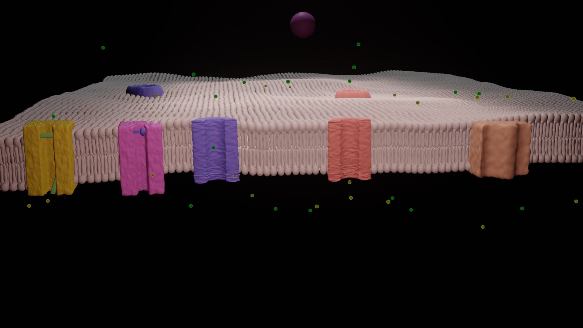 Animation Ionic Channels Membrane 3D - TurboSquid 1702262