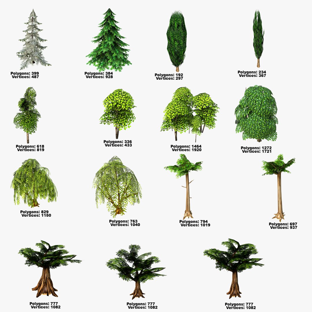 3d Model Trees