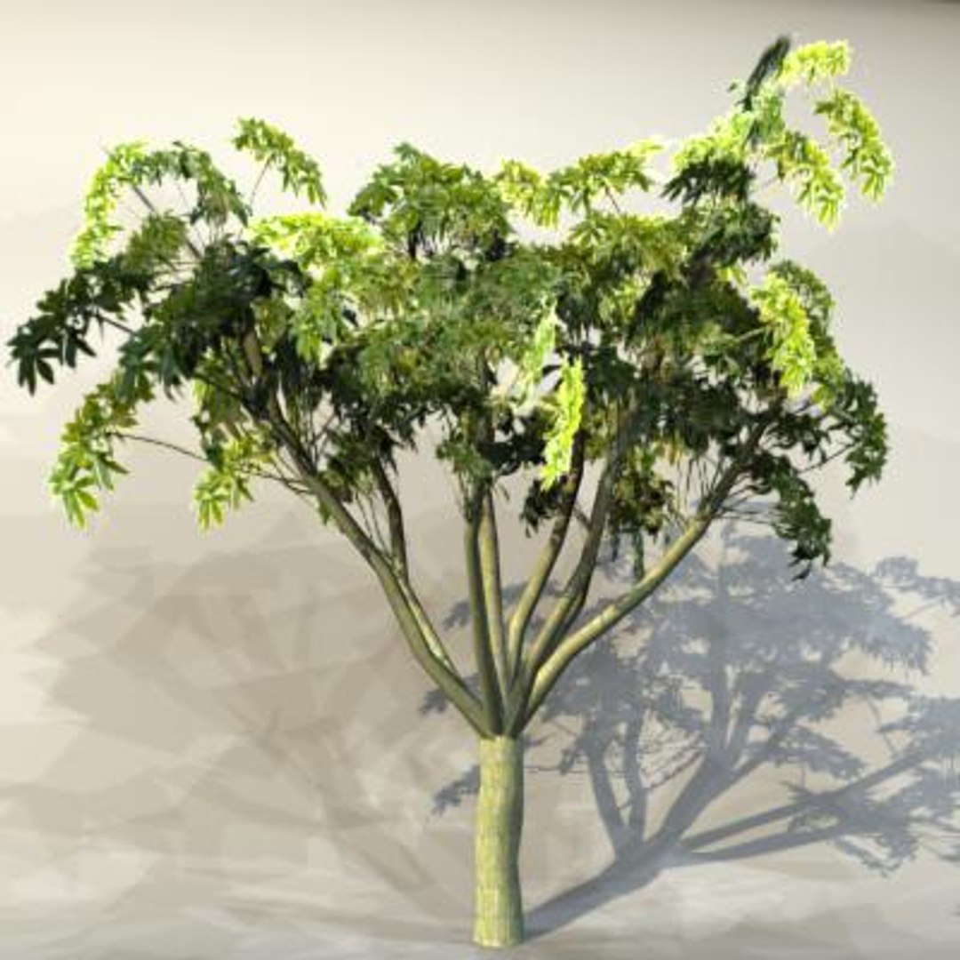 Pc Tree 3d Max