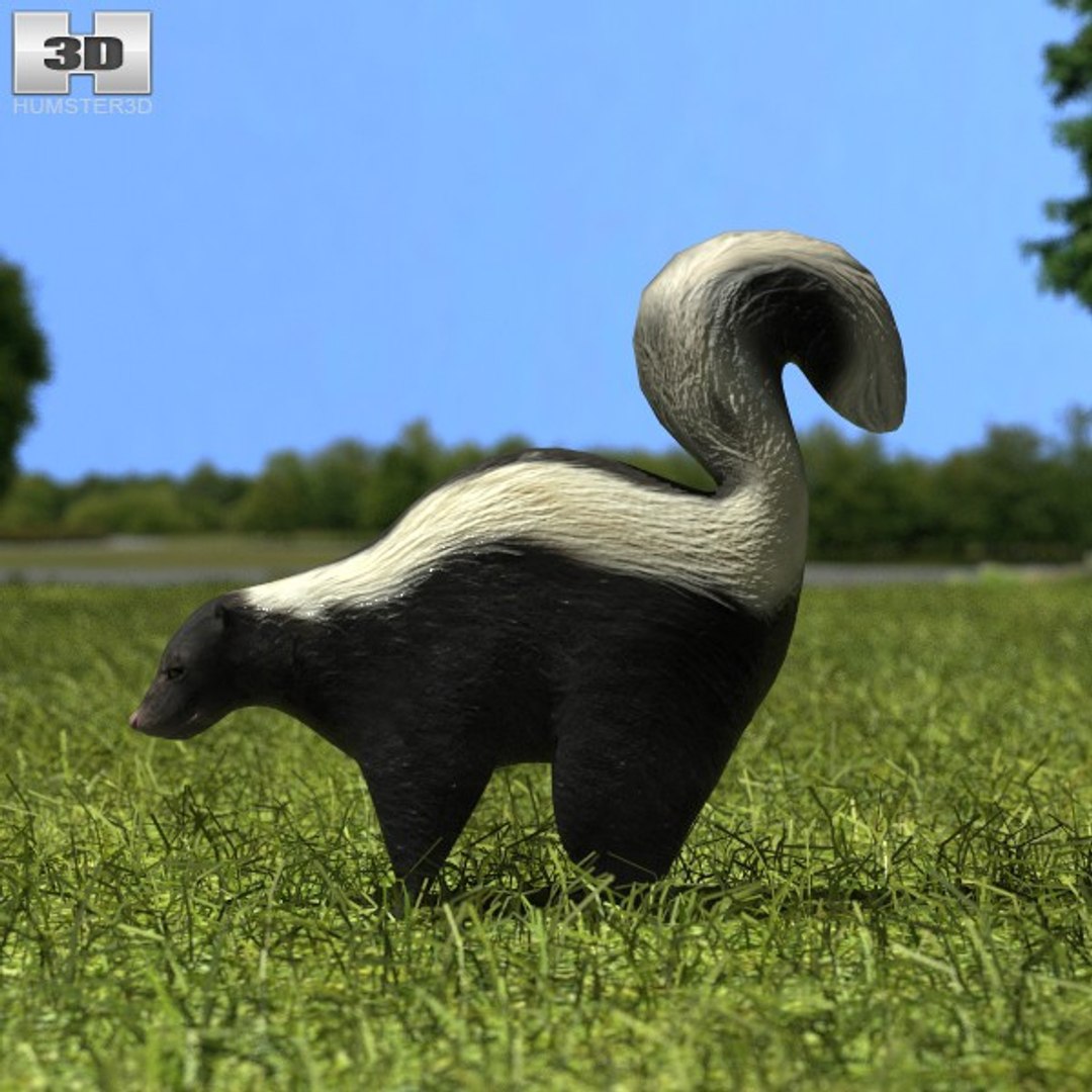3ds skunk