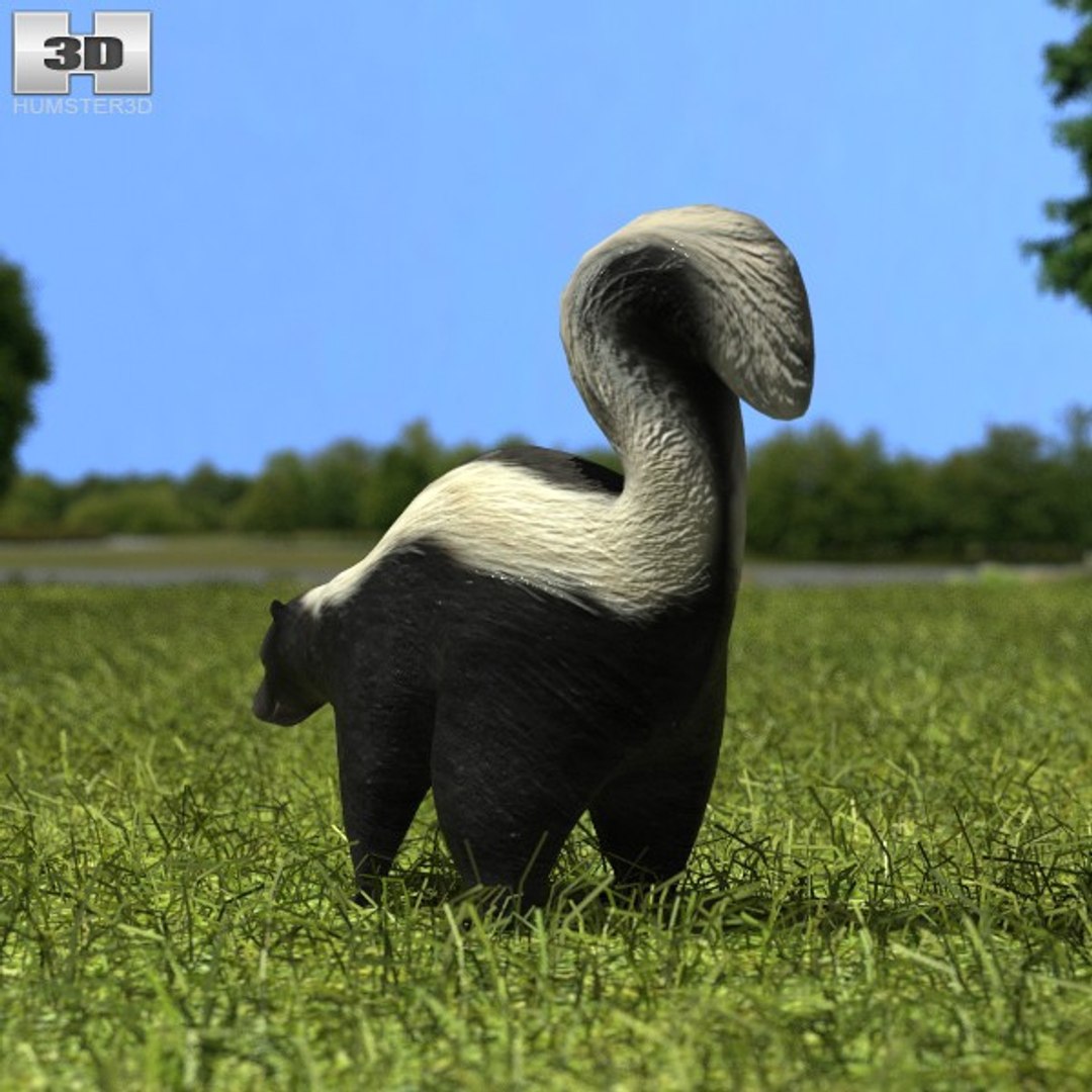 3ds skunk