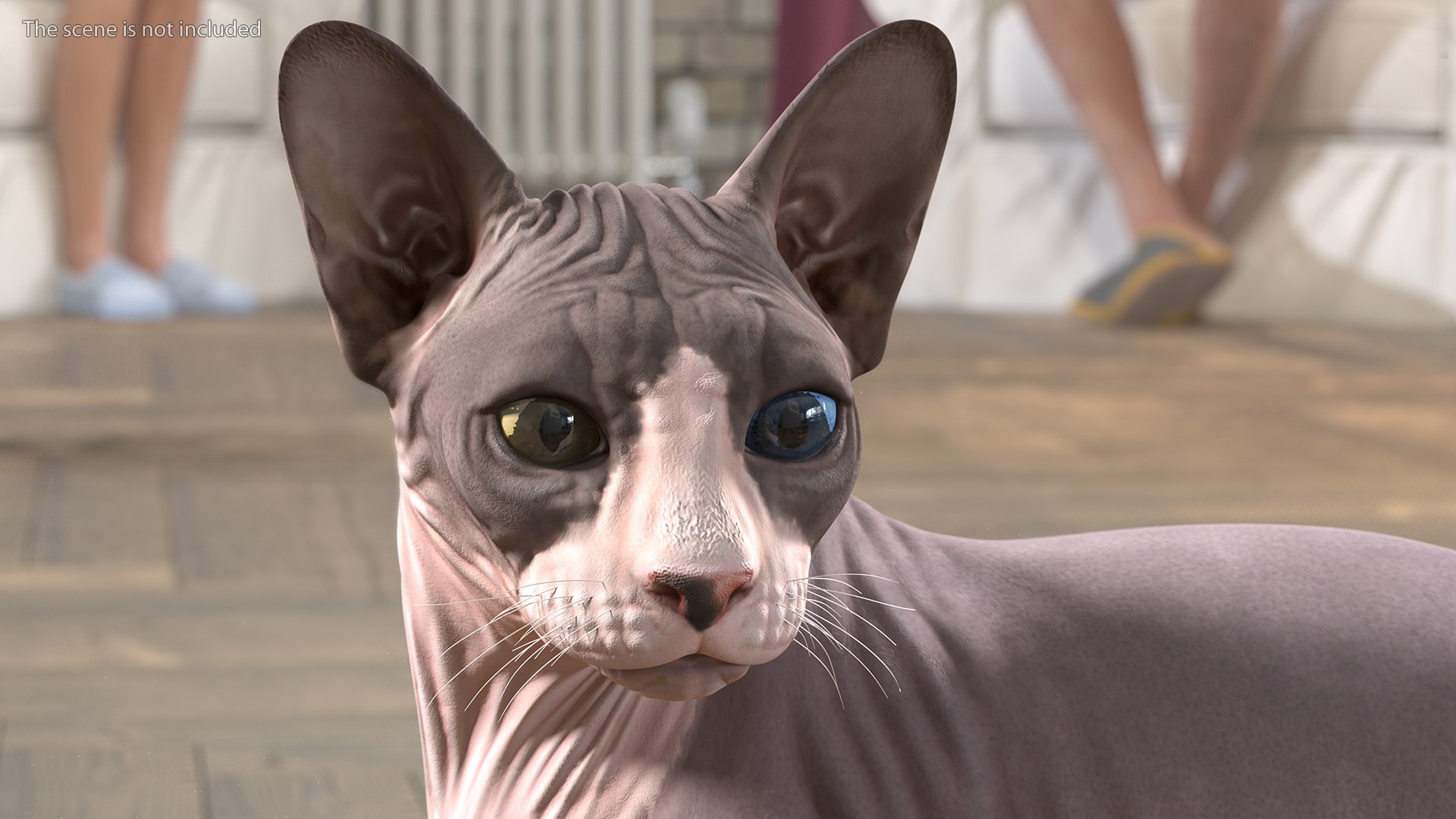 Sphynx Cat With Cat Scratching Post Collection 3D Model - TurboSquid ...