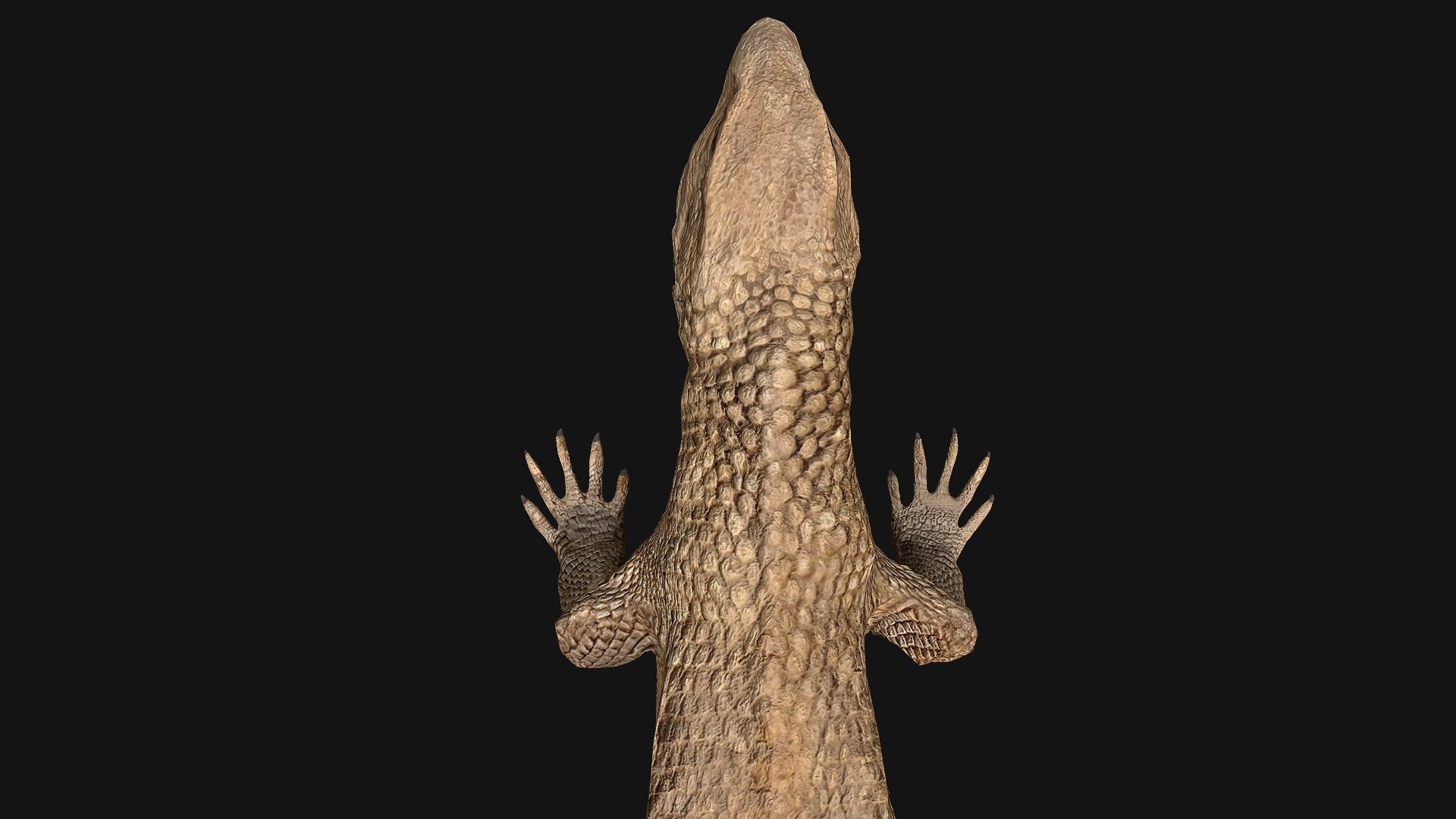 Varan Lizard Reptile Monster 3D - TurboSquid 2047001
