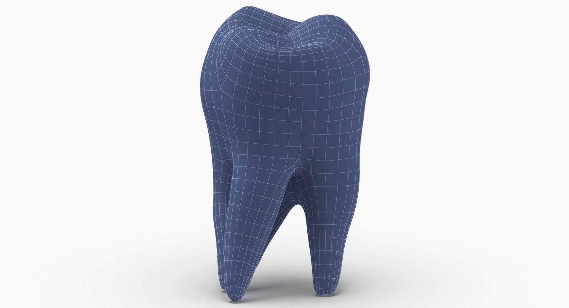 3D Second Molar Upper Jaw - TurboSquid 1573491