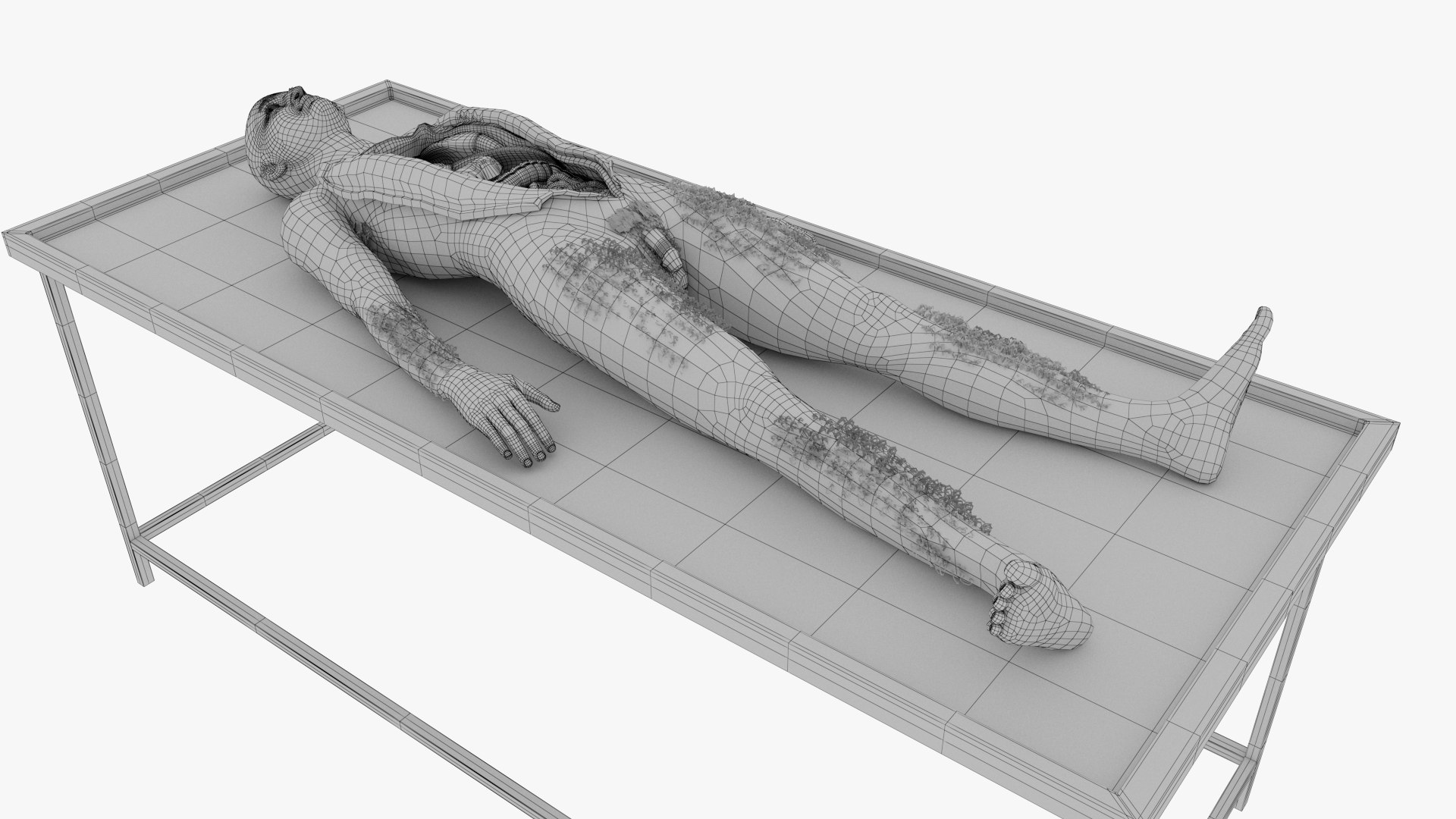 Autopsy Model - TurboSquid 2187541