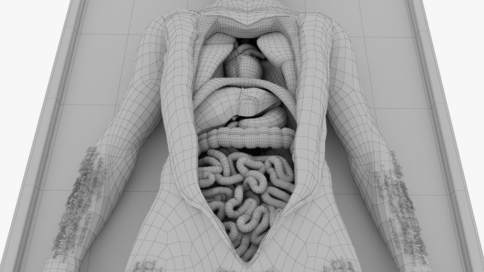Autopsy Model - TurboSquid 2187541